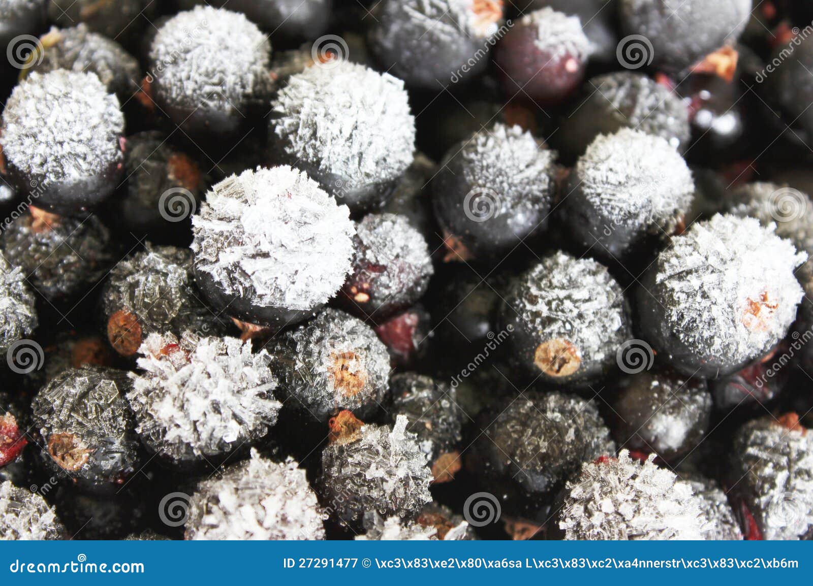 Frozen black currants stock image. Image of amount, frost - 27291477