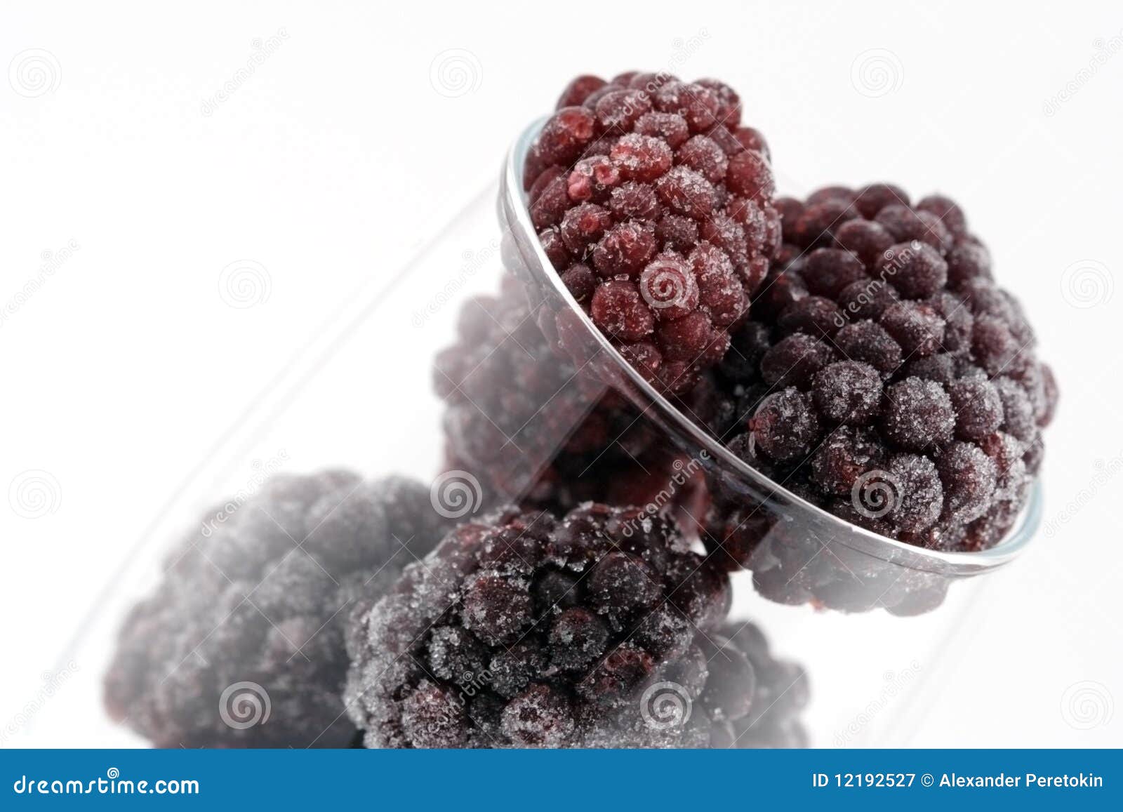 The frozen blackberry. stock image. Image of frozen, freshness - 12192527