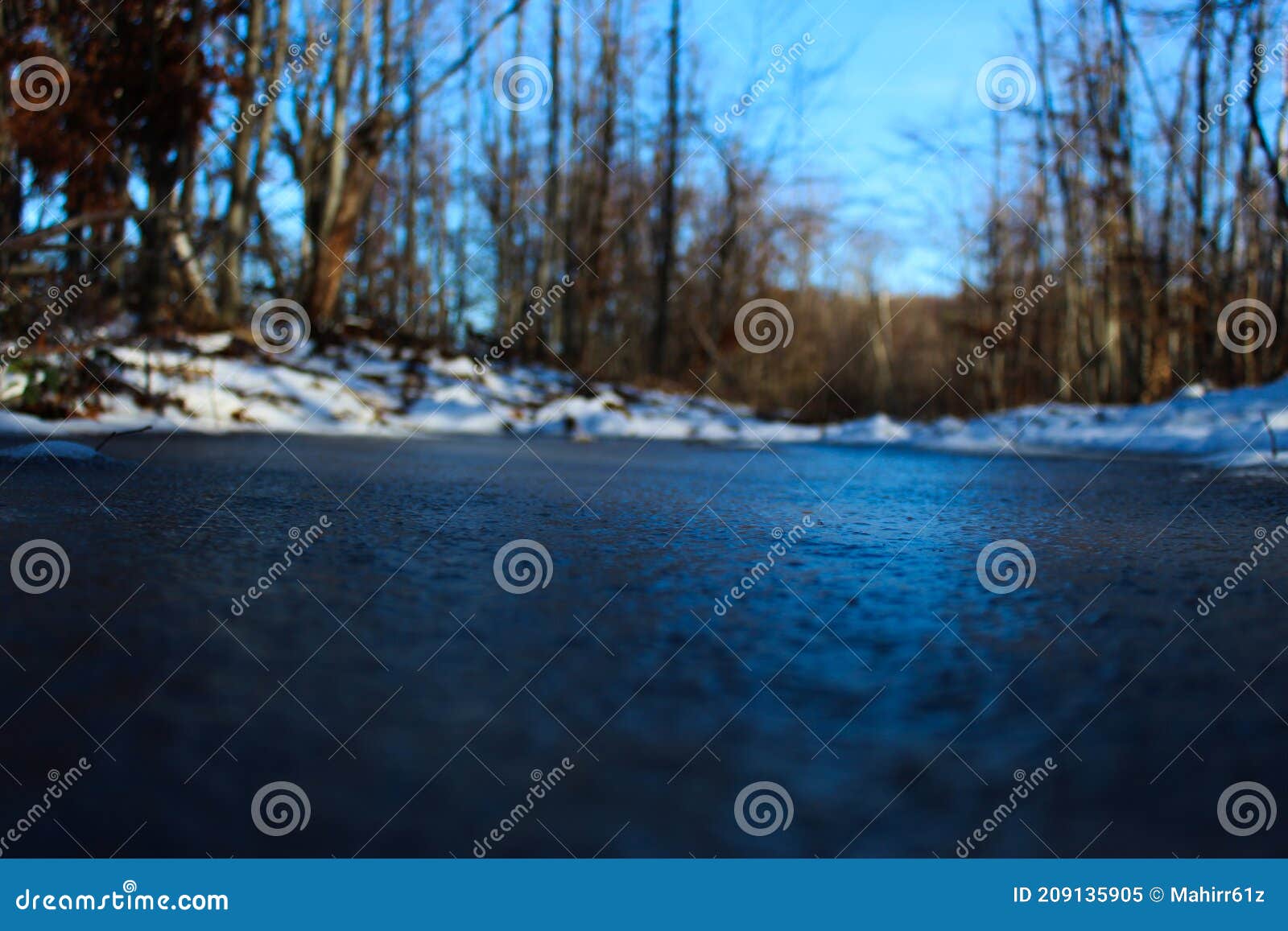 Frozen Blue Puddle of Water in the Forest. Behind the Frozen Pool of ...