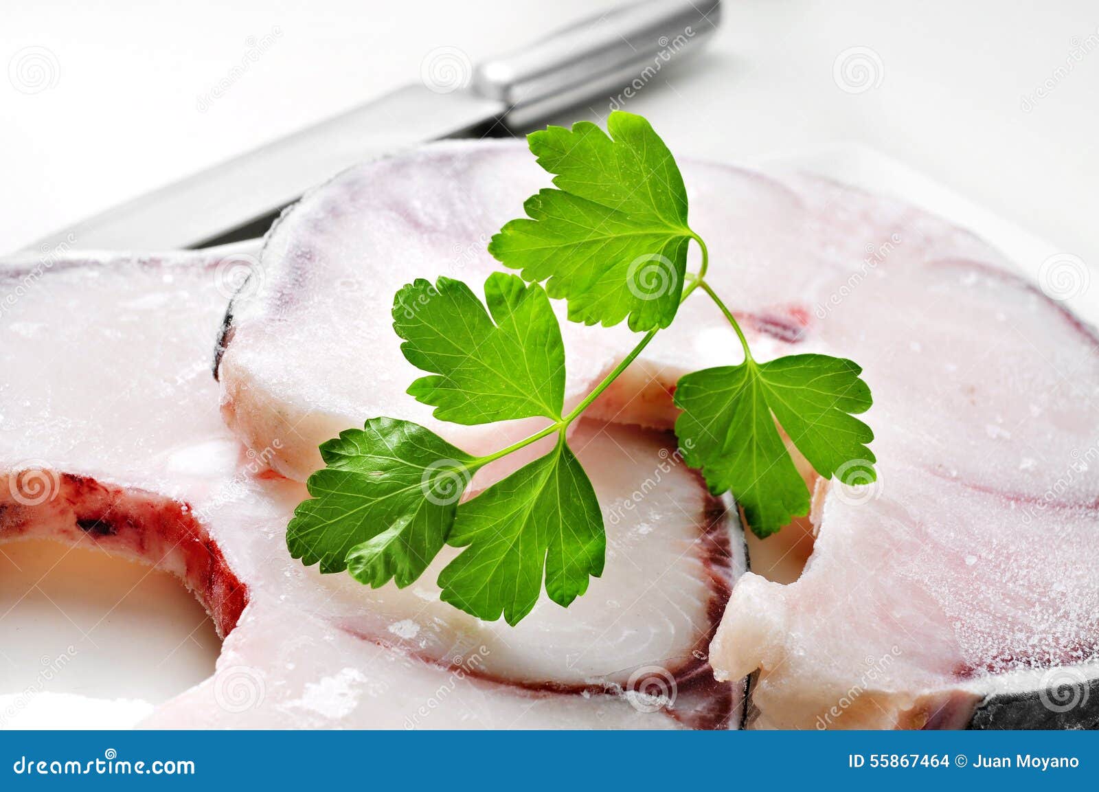 Frozen blue shark stock photo. Image of diet, cooking - 55867464
