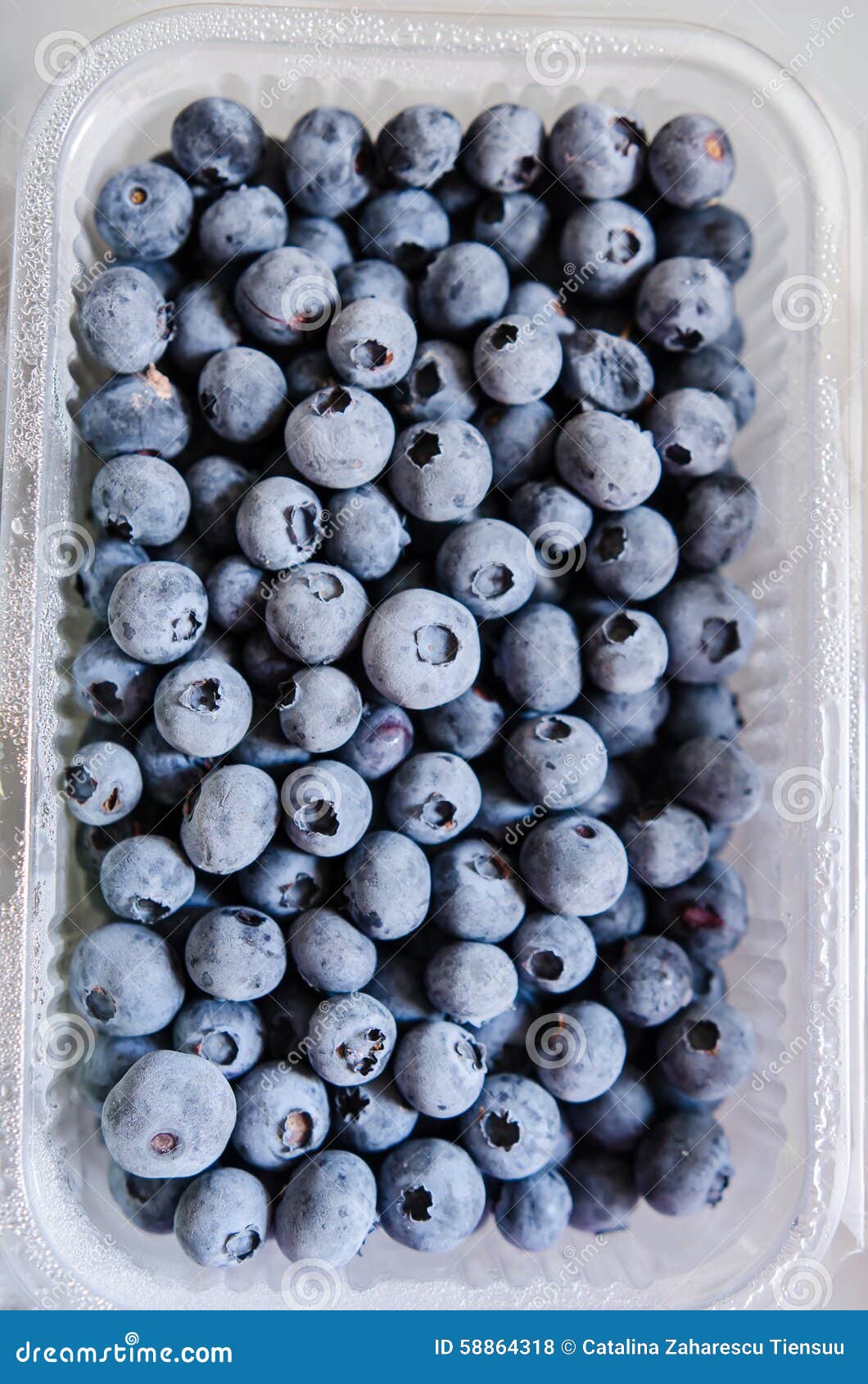 Frozen blueberries stock photo. Image of healthy, nutrition - 58864318
