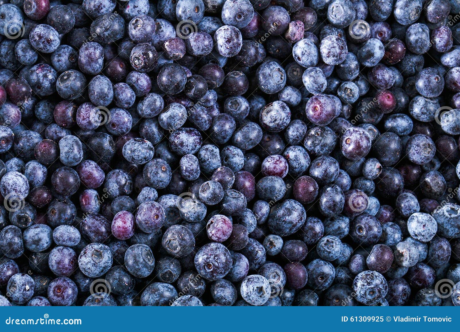 Frozen Blueberry Texture - Background Stock Image - Image of ...