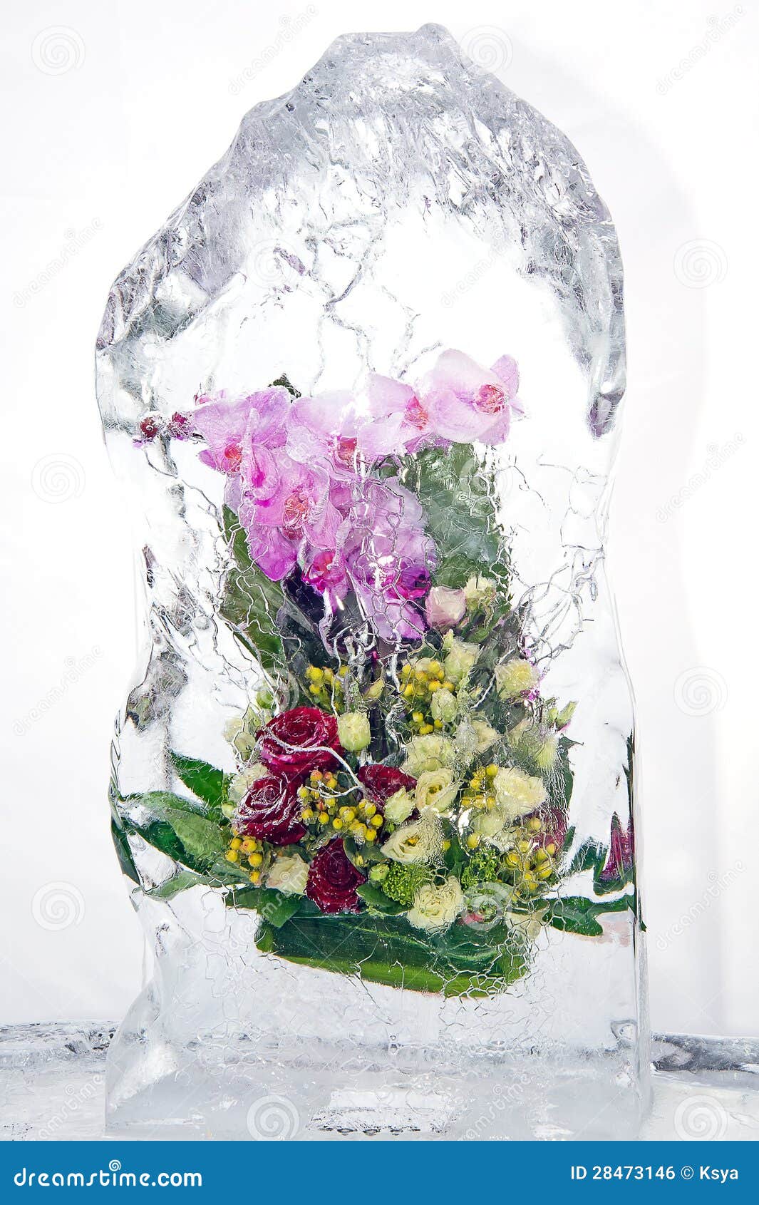 Frozen bouquet stock photo. Image of blossom, green, abstract - 28473146