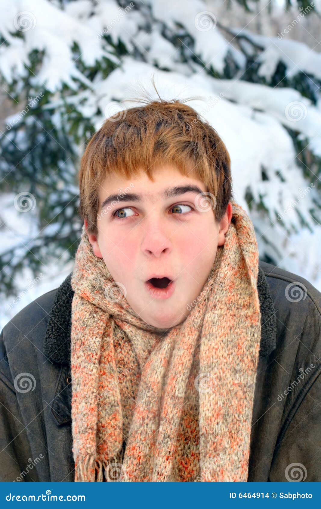 Frozen boy stock photo. Image of forest, cool, birch, cold - 6464914