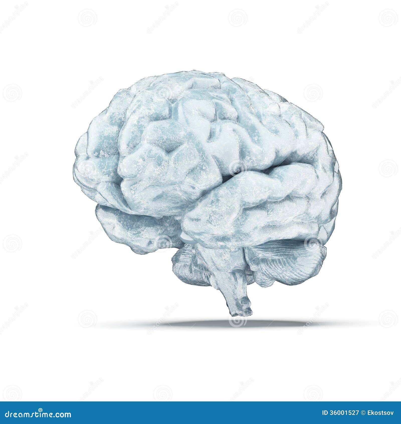 Frozen brain stock illustration. Illustration of neurobiology - 36001527