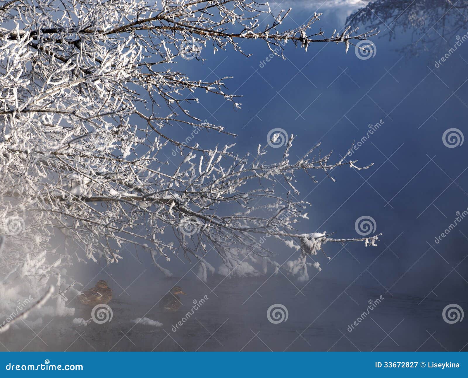 Frozen branch over river. stock image. Image of iced - 33672827