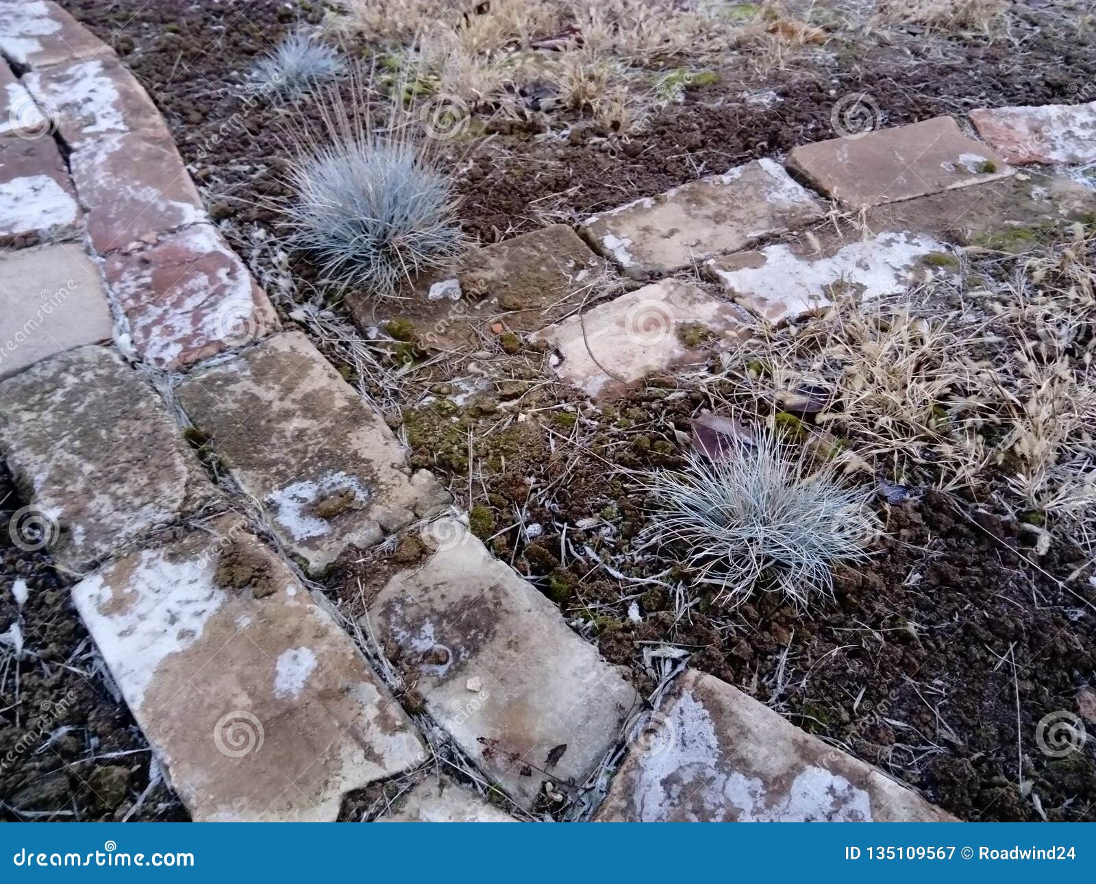 Frozen Brick Pathway with Blue Grass Stock Image - Image of bricks ...