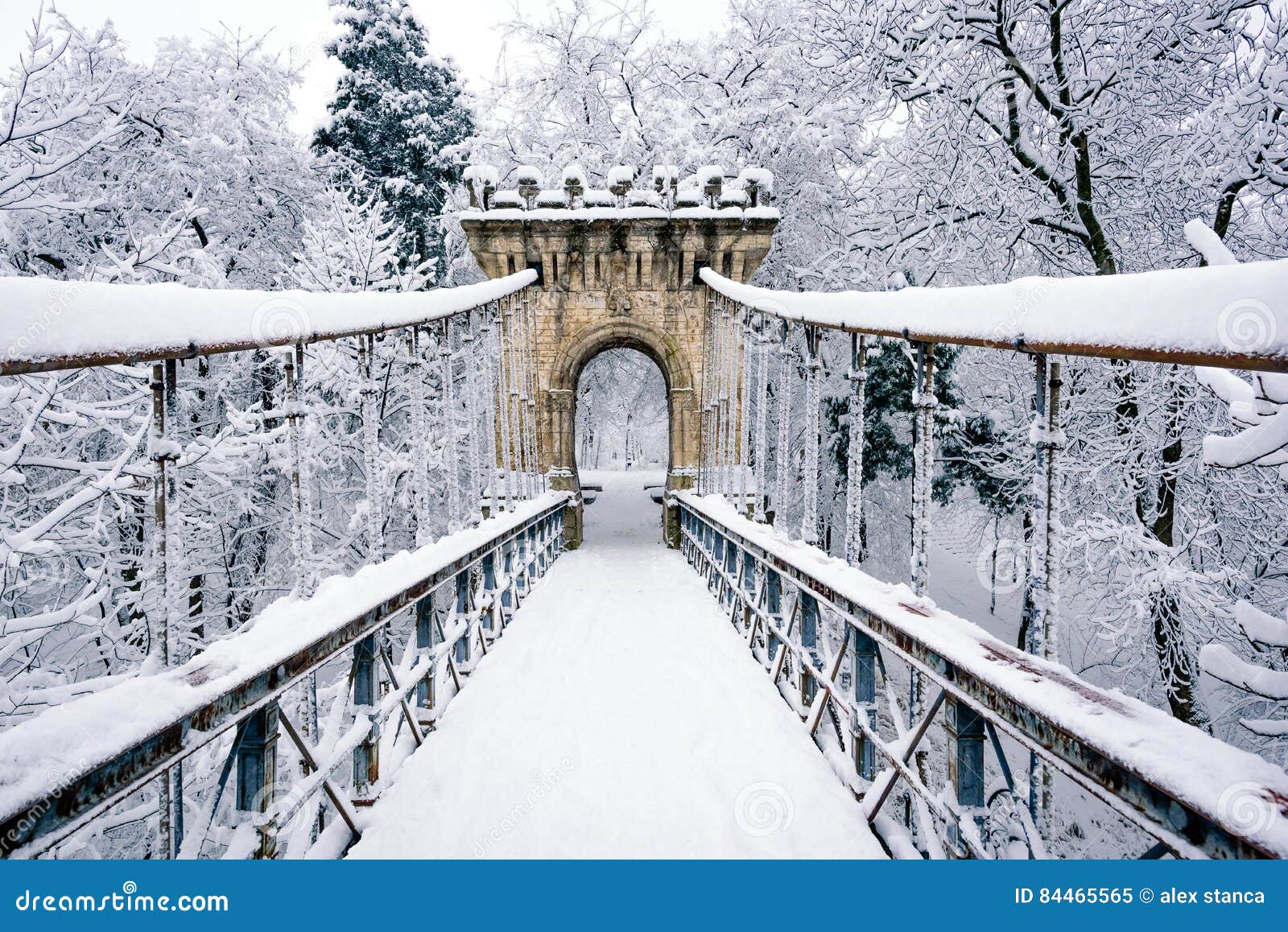 Frozen bridge stock image. Image of environment, park - 84465565