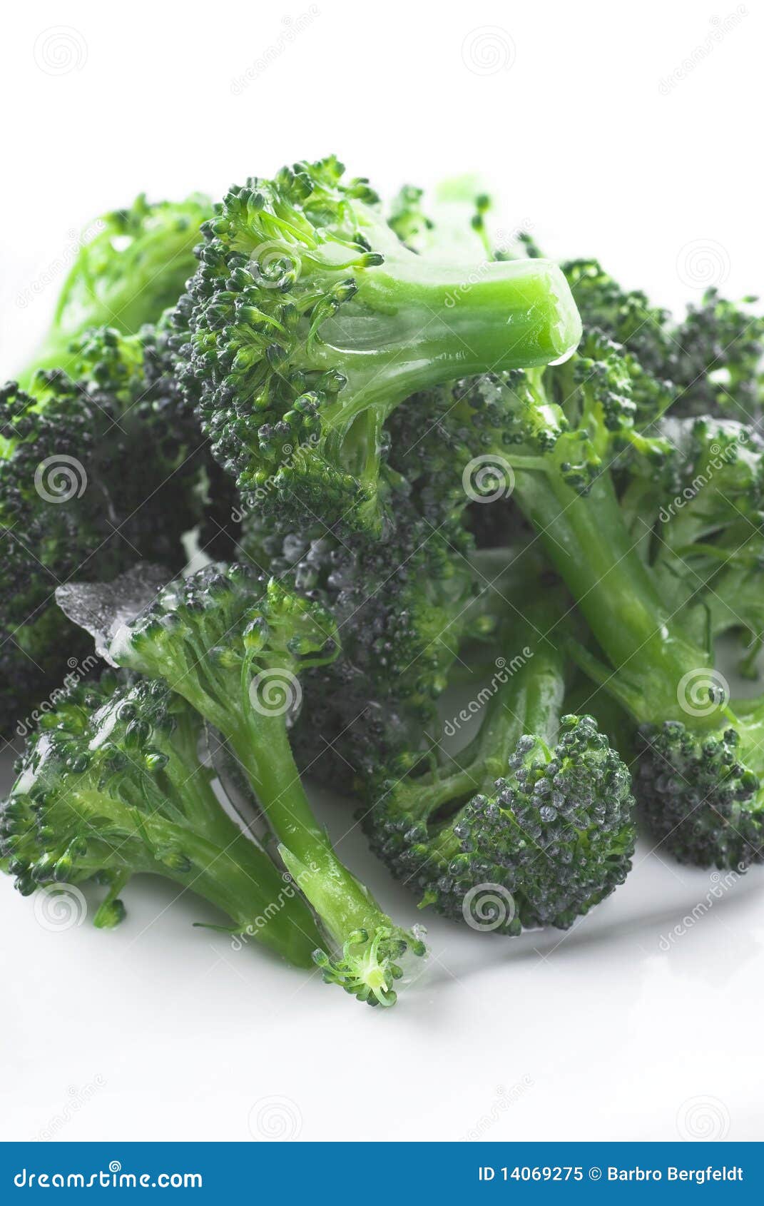 Frozen Broccoli stock image. Image of broccoli, bouquet - 14069275