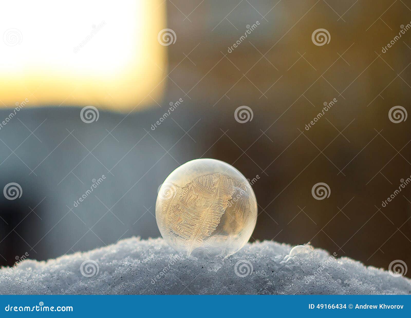 Frozen bubble stock photo. Image of season, water, nature - 49166434