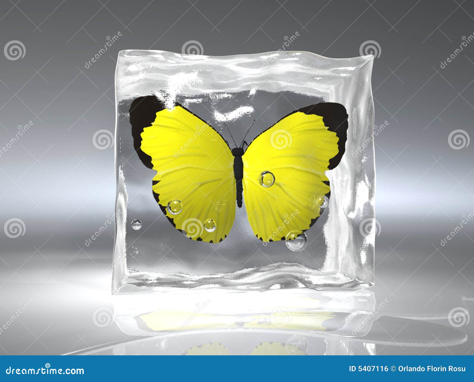 Frozen butterfly stock illustration. Illustration of cube - 5407116
