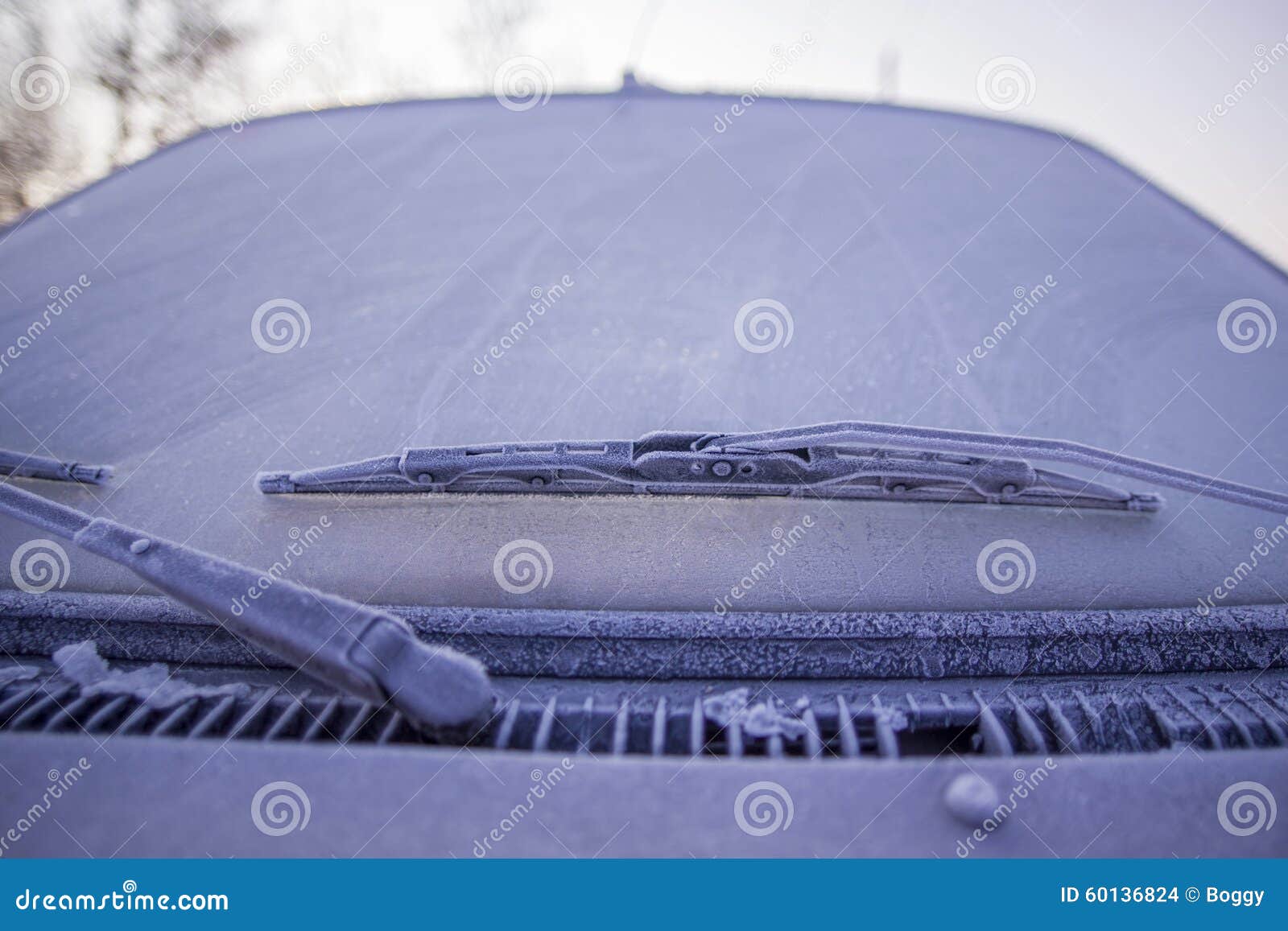 Frozen car stock photo. Image of seasonal, frost, frozen - 60136824