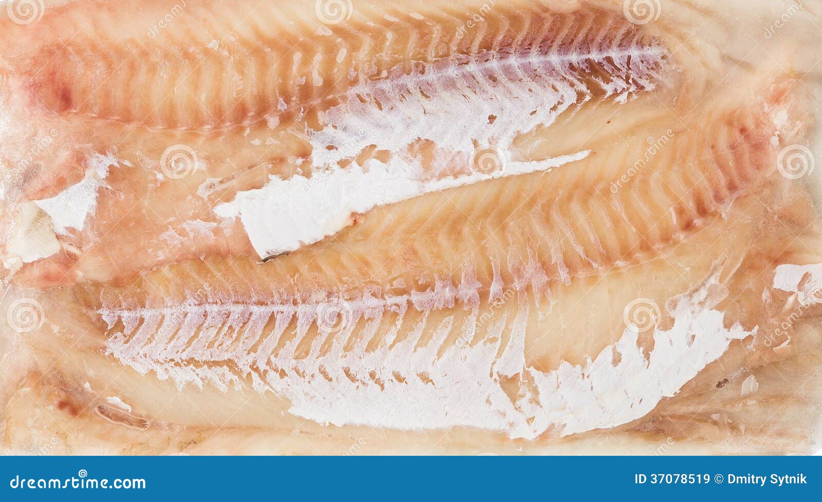 Frozen Carcass Fish In Brick For Trade And Background Royalty-Free ...