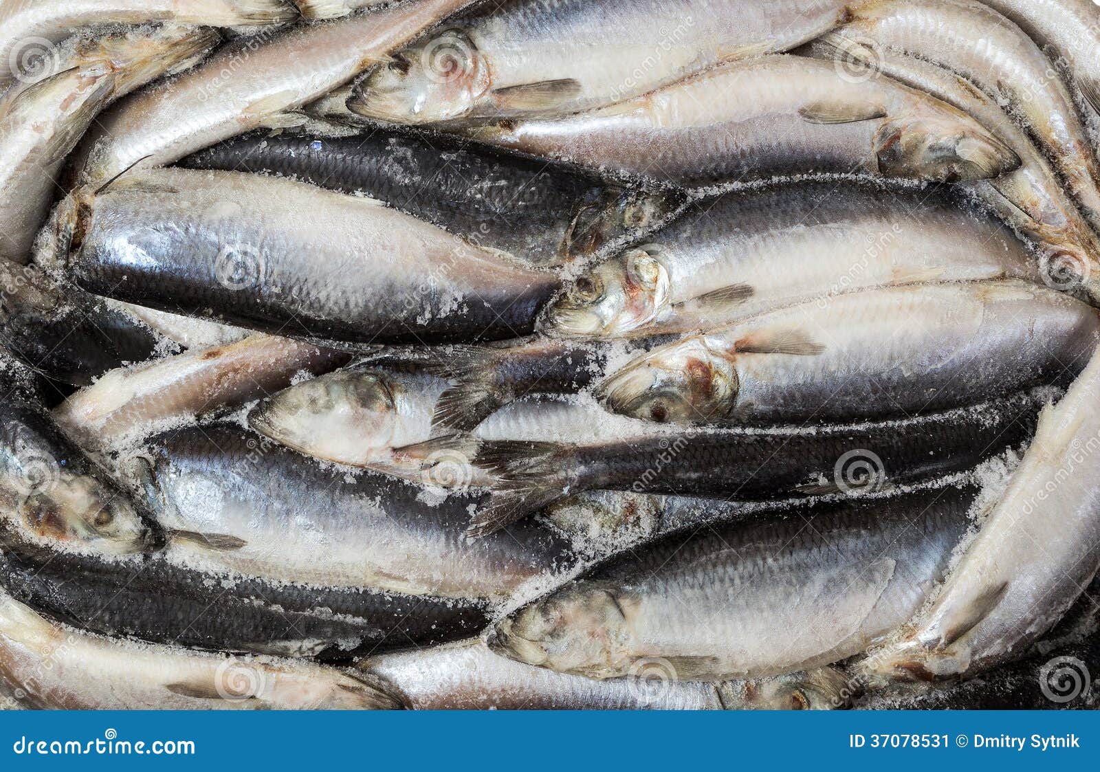 Frozen Carcass Fish In Brick For Trade And Background Royalty-Free ...