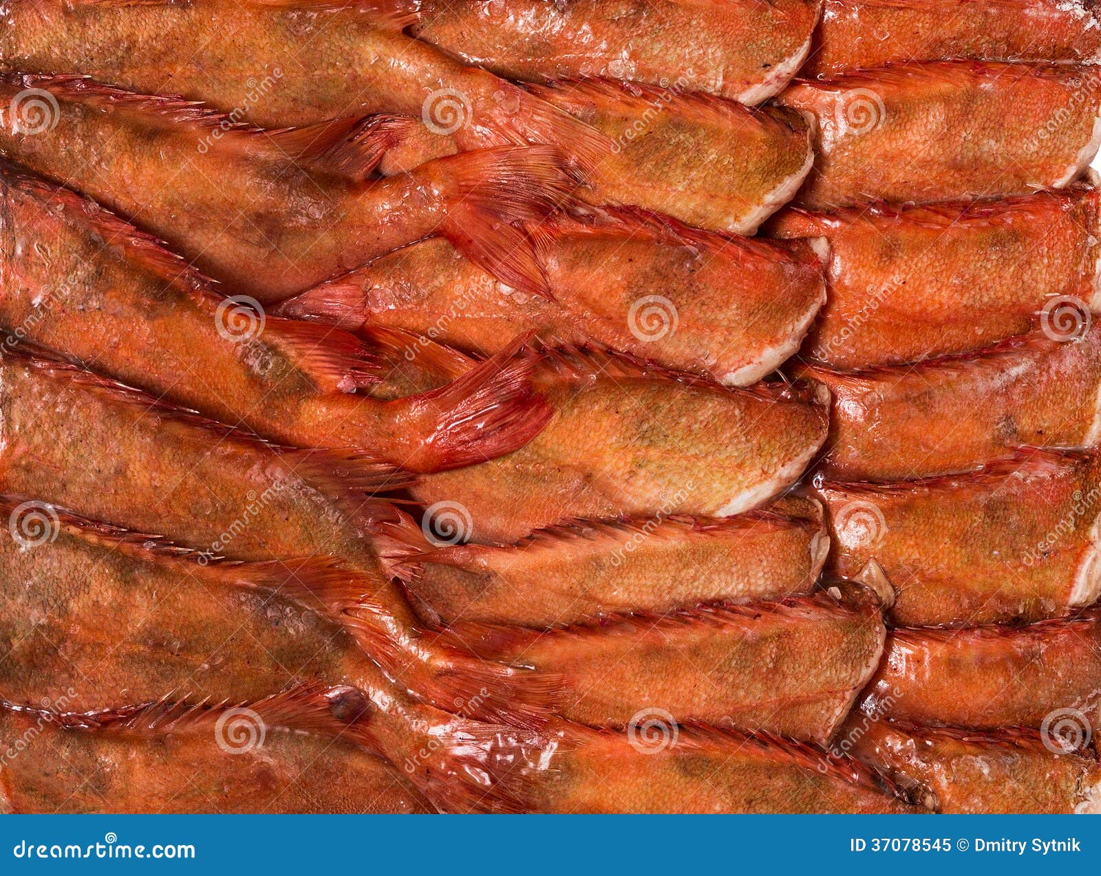 Frozen Carcass Fish In Brick For Trade And Background Royalty-Free ...