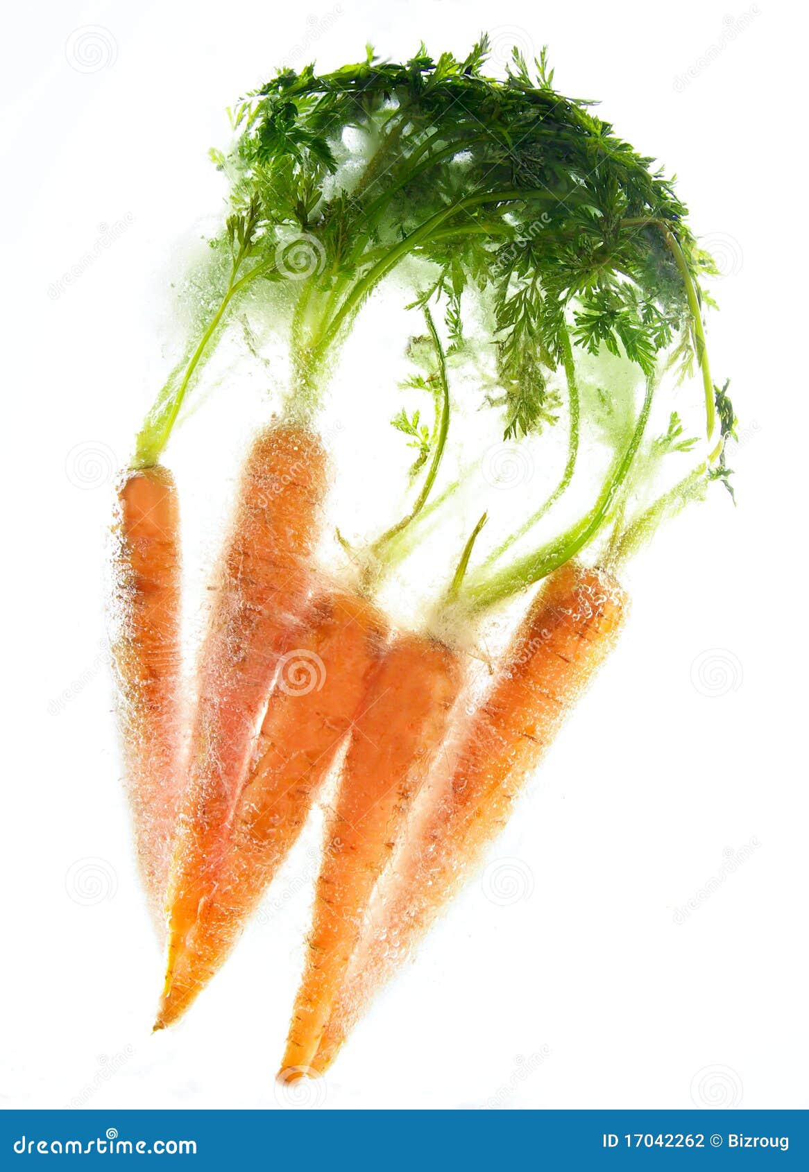 Frozen carrots stock photo. Image of colorful, grow, heap - 17042262