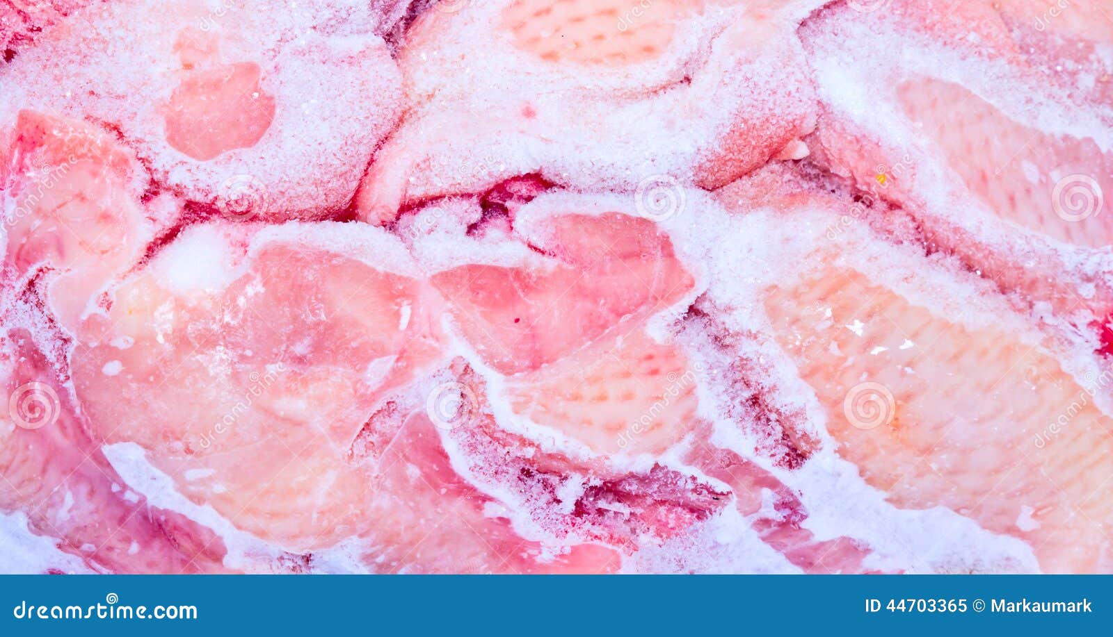 Frozen chicken. stock image. Image of semi, finished - 44703365