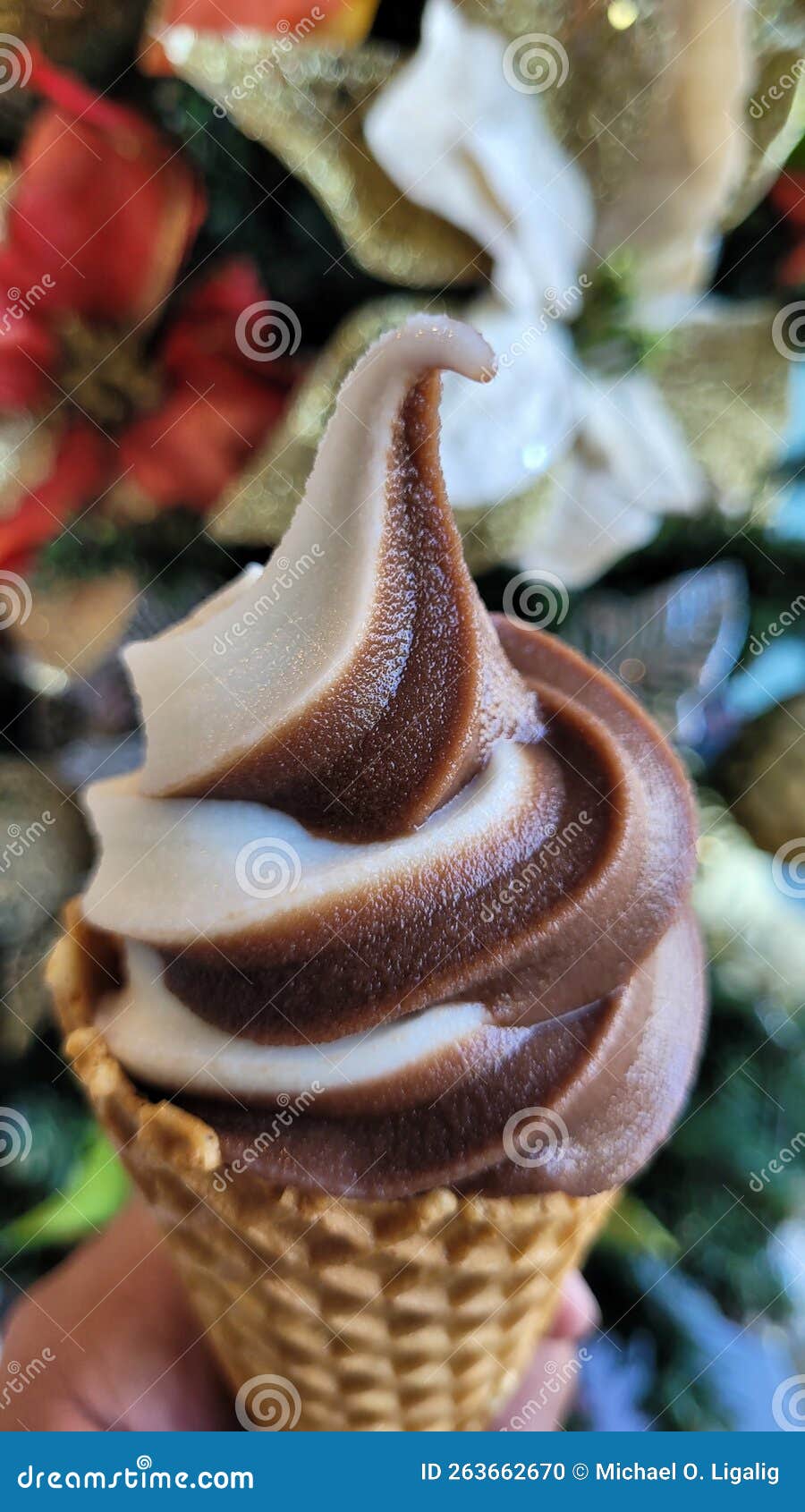 Frozen Chocolate Ice Cream in a Tasty Cone Stock Photo - Image of ...