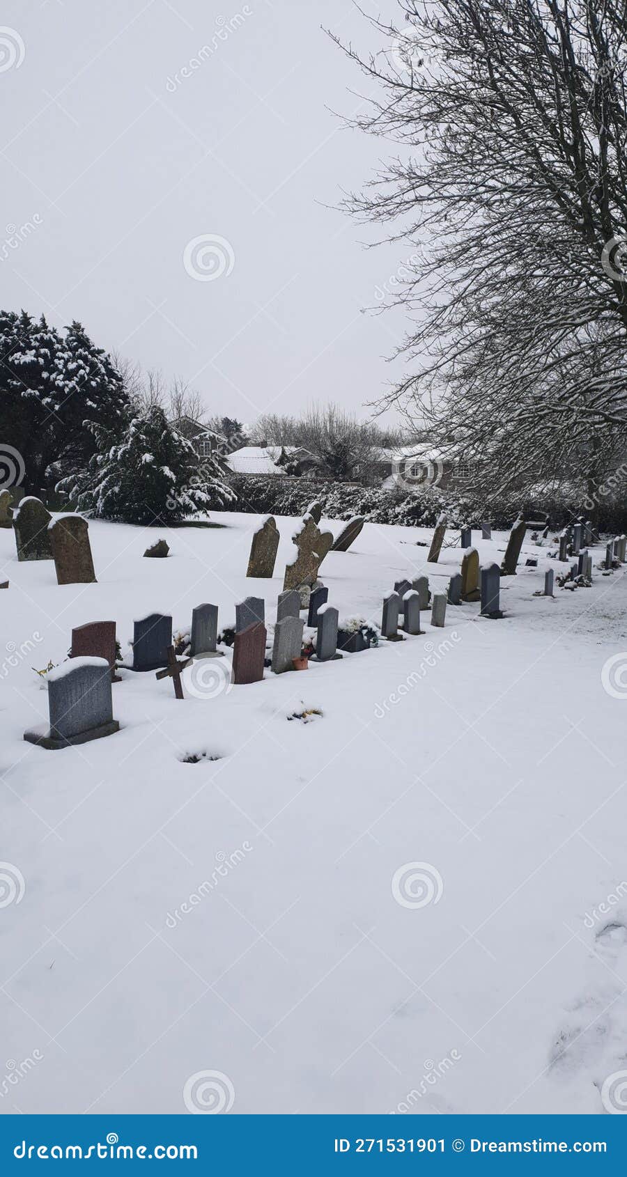 Frozen and Cold Lone Gravestones in the Snow Stock Image - Image of ...