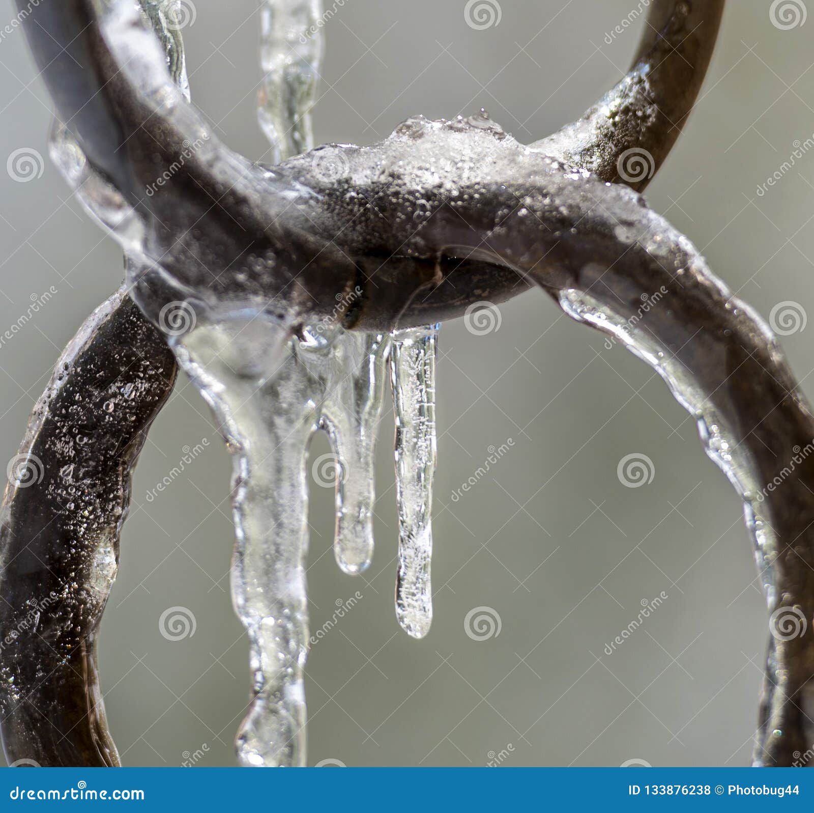 Frozen Copper Rings with Icicles Stock Photo - Image of shallow, rings ...