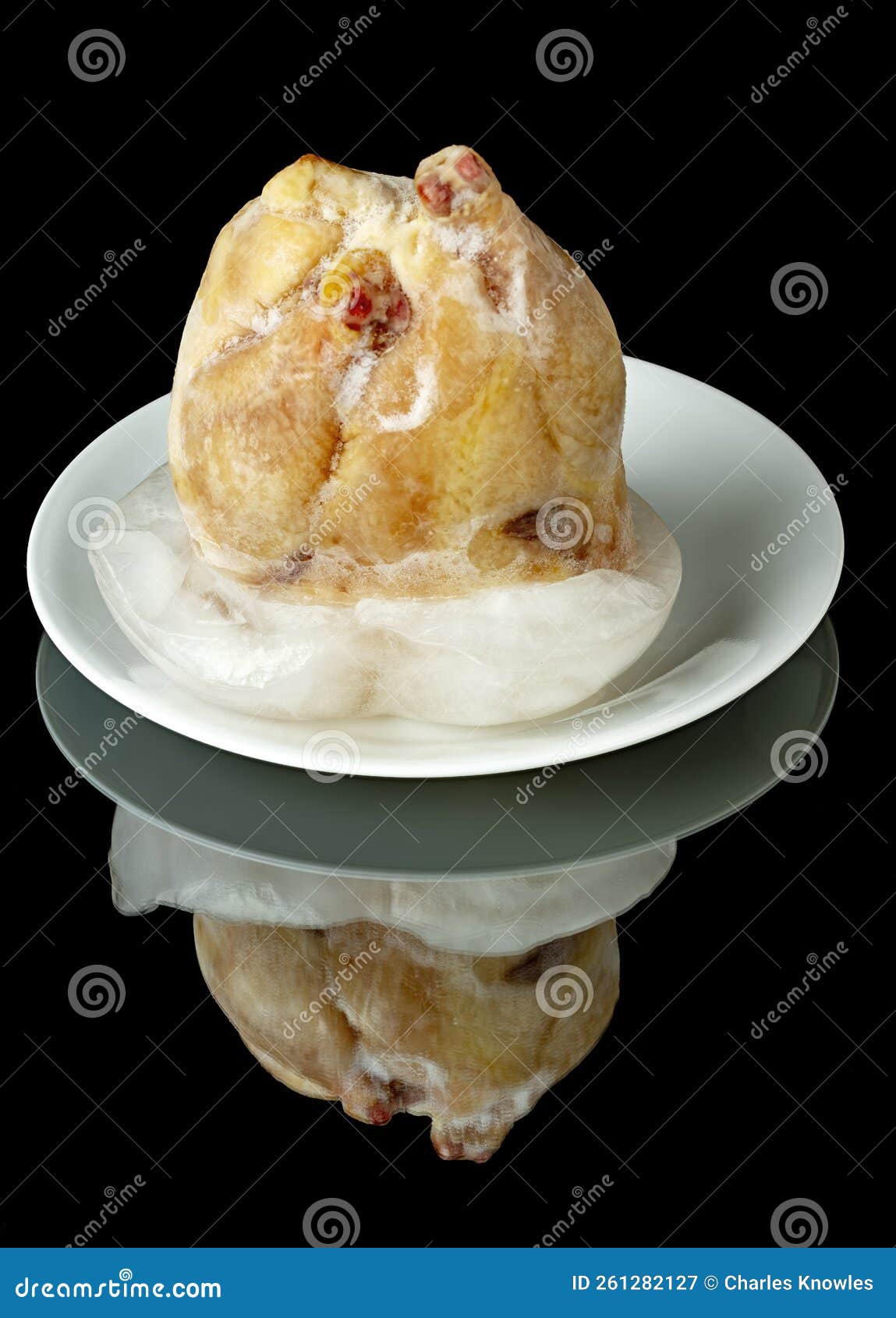 Frozen Cornish Game Hen on White Plate Stock Image - Image of plate ...
