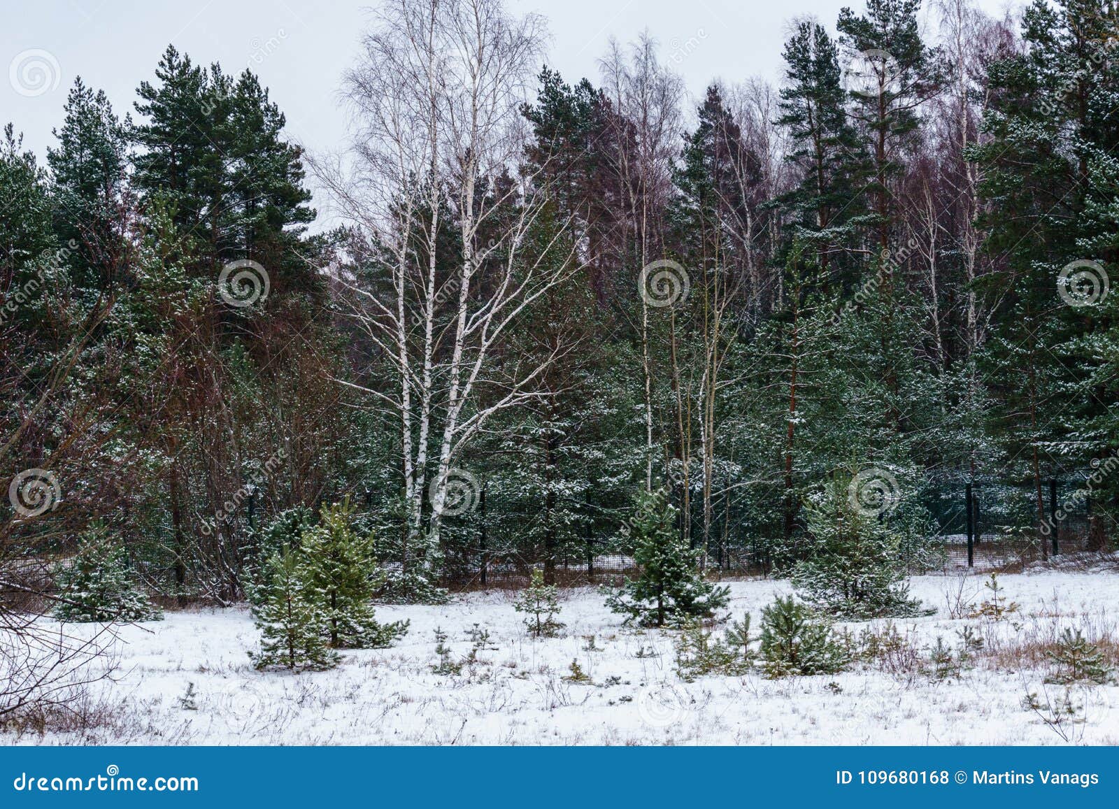 Frozen Country Side by the Sea Stock Photo - Image of baltic, frozen ...