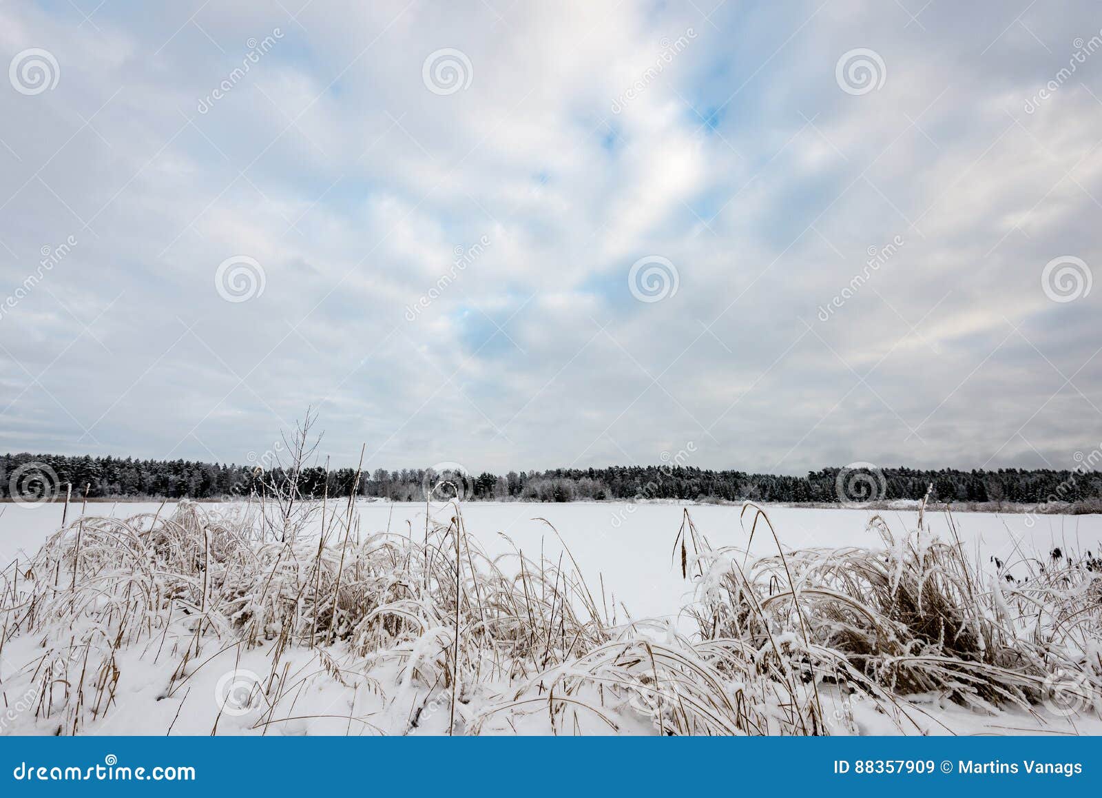 Frozen Countryside Scene in Winter Stock Image - Image of lake, nature ...