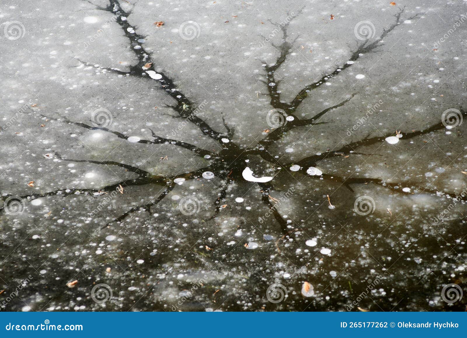 Frozen crack in the ice stock photo. Image of water - 265177262