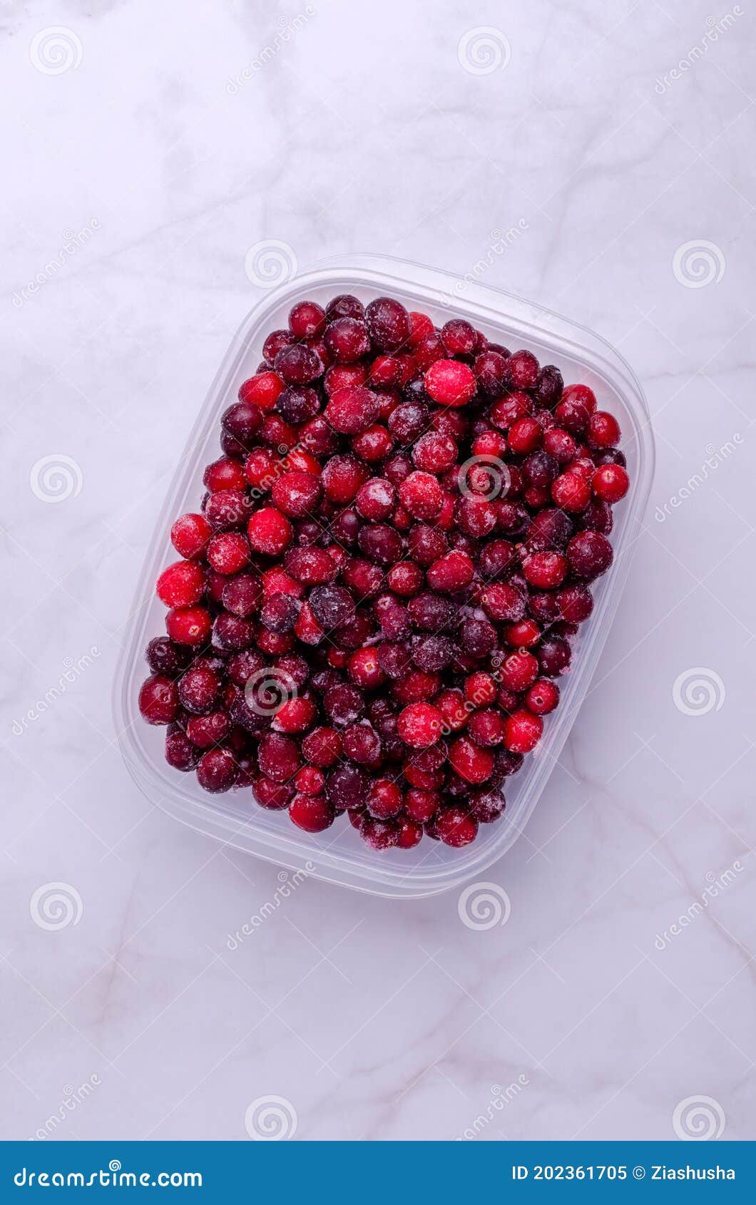 Frozen Cranberries in a Plastic Container Stock Image - Image of ...