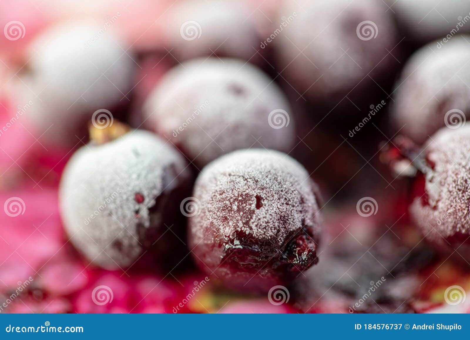 Frozen Cranberries in the Snow Stock Image - Image of vitamins, berries ...