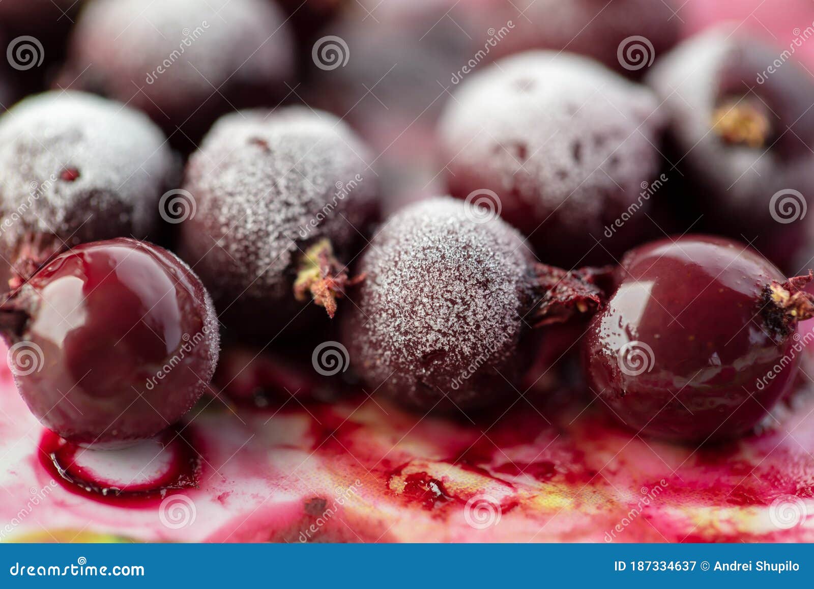 Frozen Cranberries in the Snow Stock Image - Image of table, delicious ...