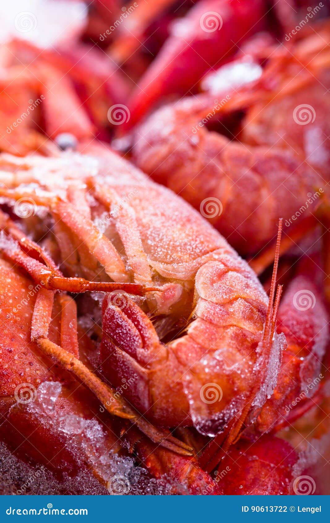 Frozen crayfish. stock photo. Image of crawdad, delicacy - 90613722
