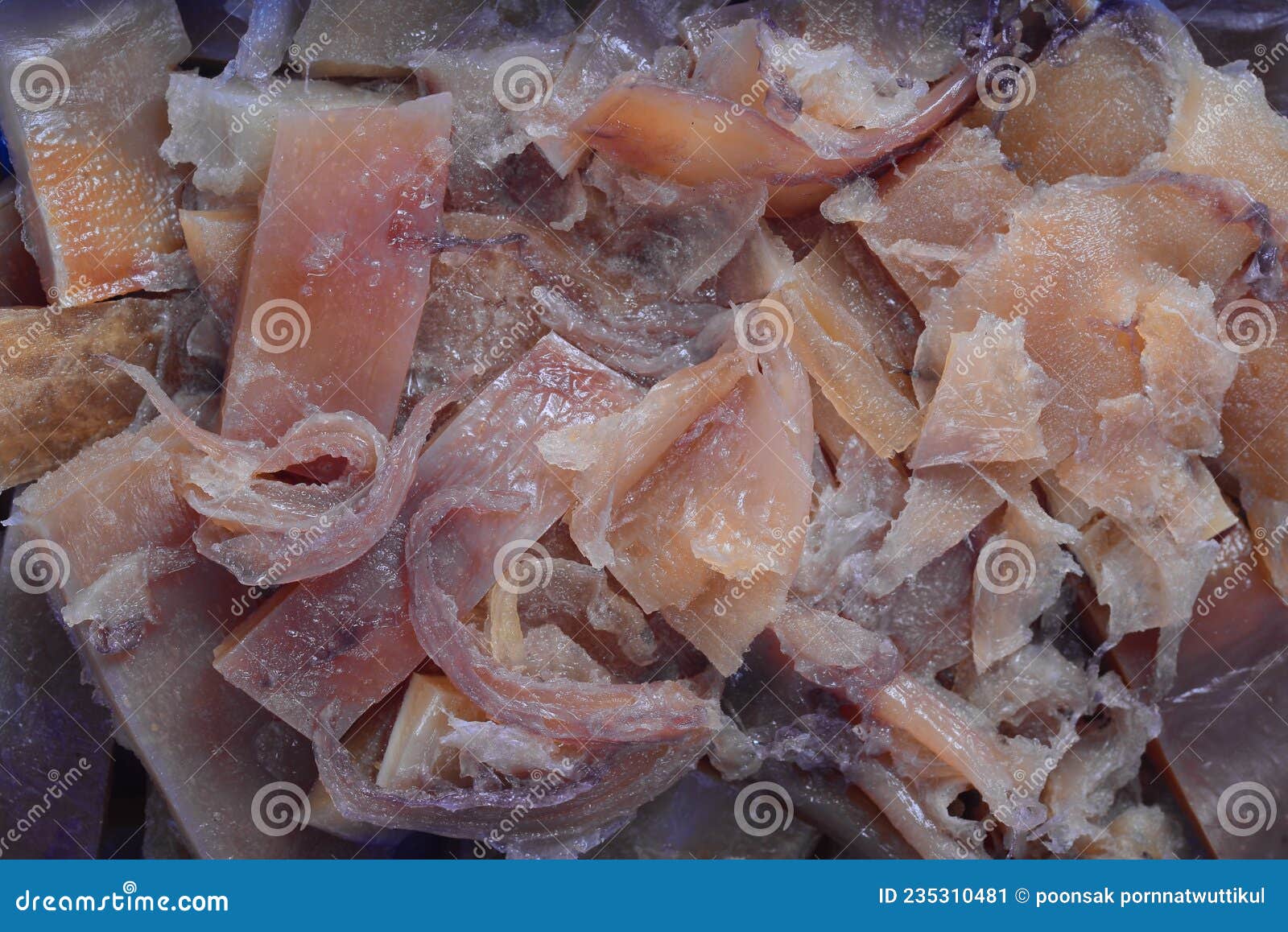 Frozen Crispy Squid Pickled Food Preservation Seafood Stock Image ...