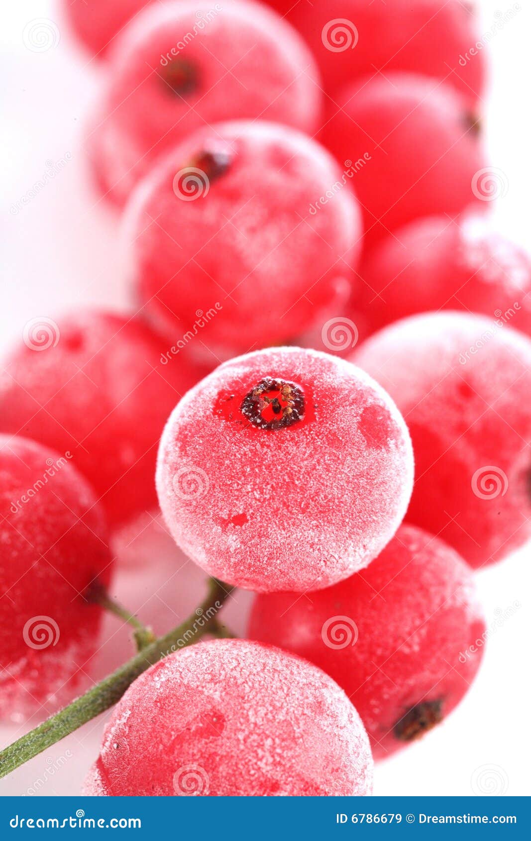 Frozen currant stock image. Image of fruit, closeup, shot - 6786679