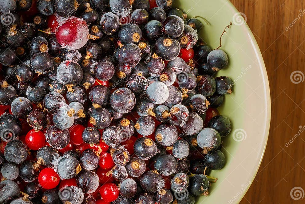 Frozen currant berries stock photo. Image of freezer - 92247154