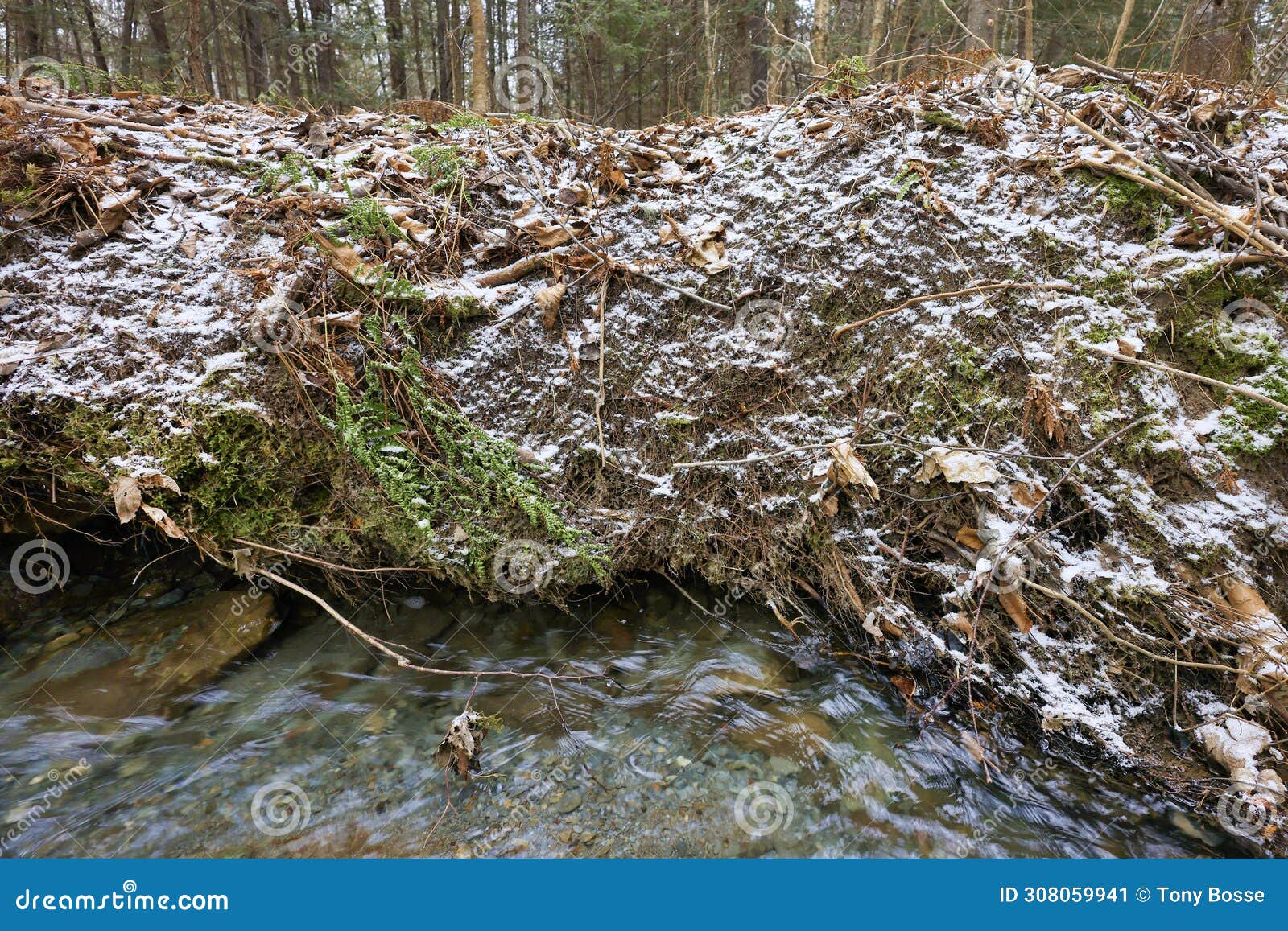 Creek For Background Stock Photography | CartoonDealer.com #21471530