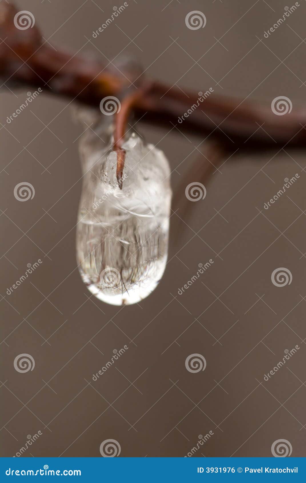 Frozen drop stock photo. Image of winter, cold, water - 3931976