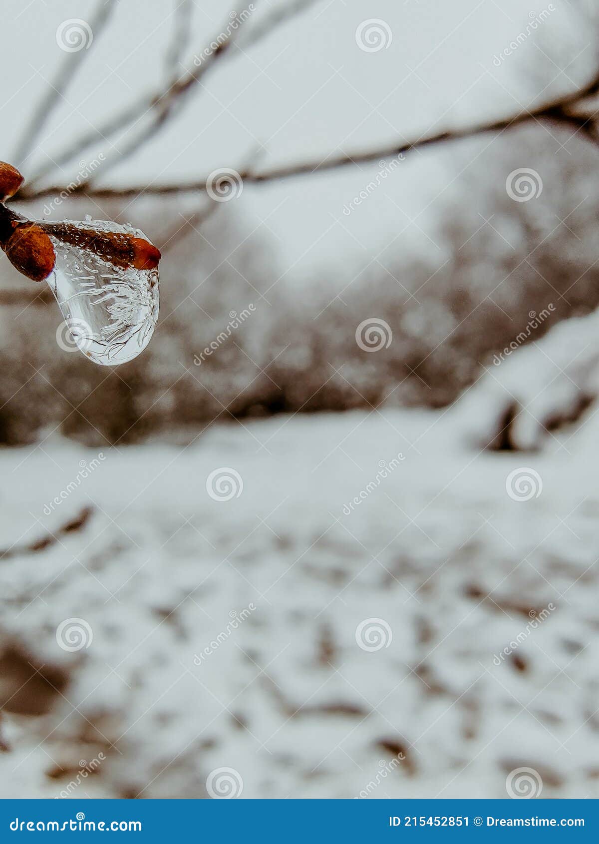 Frozen drop in the snow stock image. Image of winter - 215452851