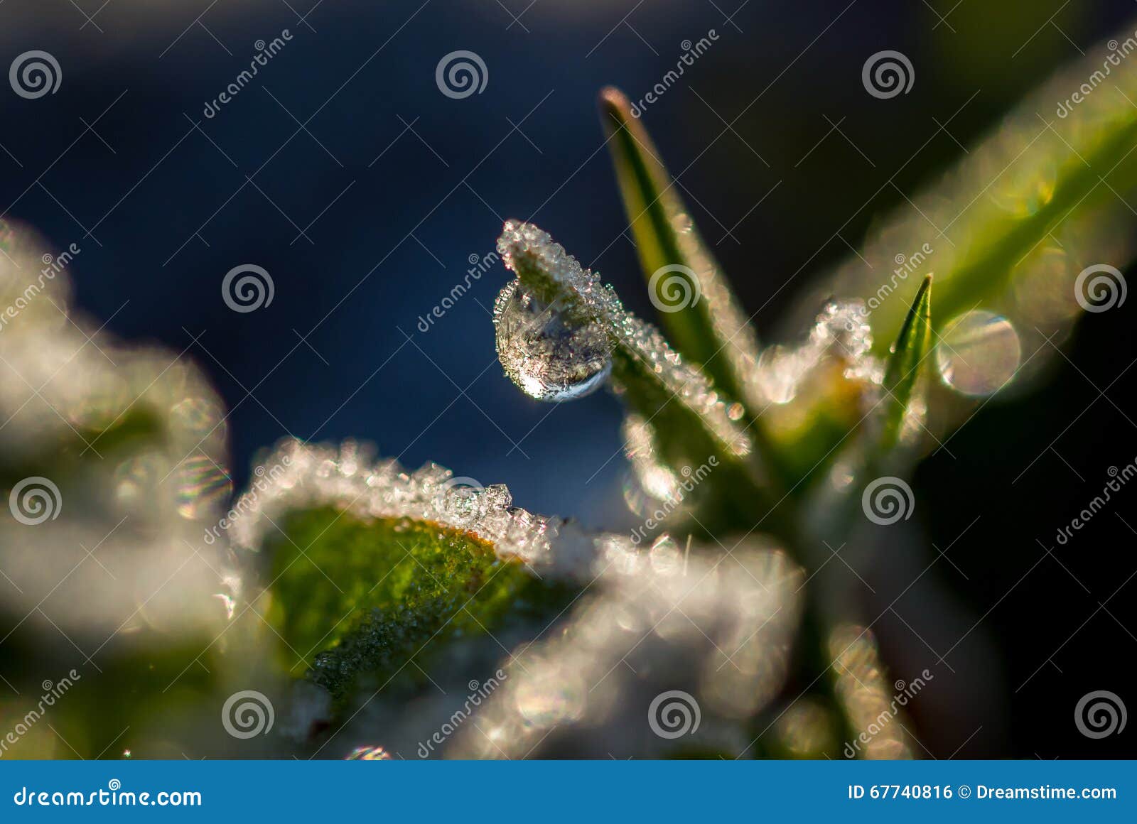 Frozen droplet stock photo. Image of winter, crystals - 67740816