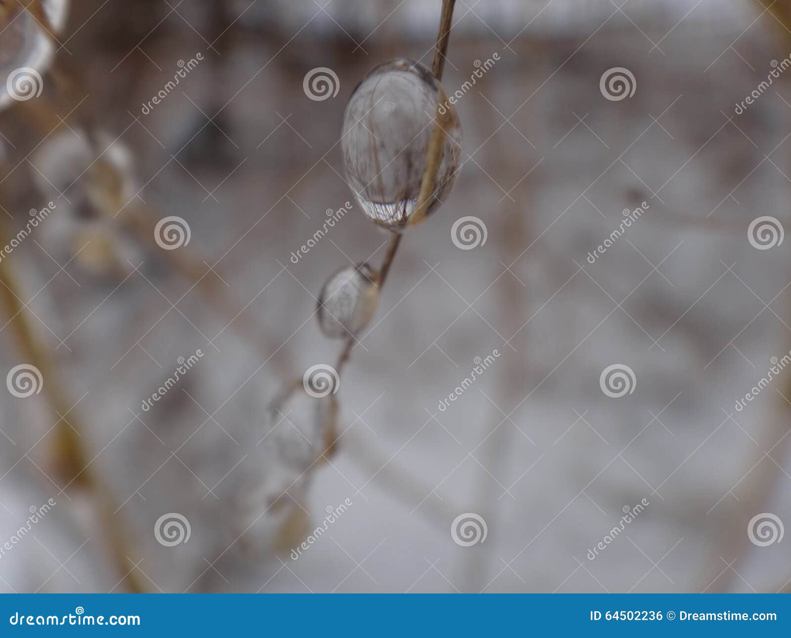 Frozen droplets of water stock photo. Image of zoom, water - 64502236