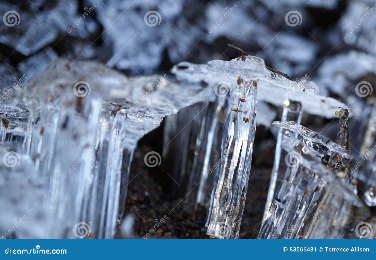 Frozen earth stock image. Image of outdoors, golden, winter - 83566481