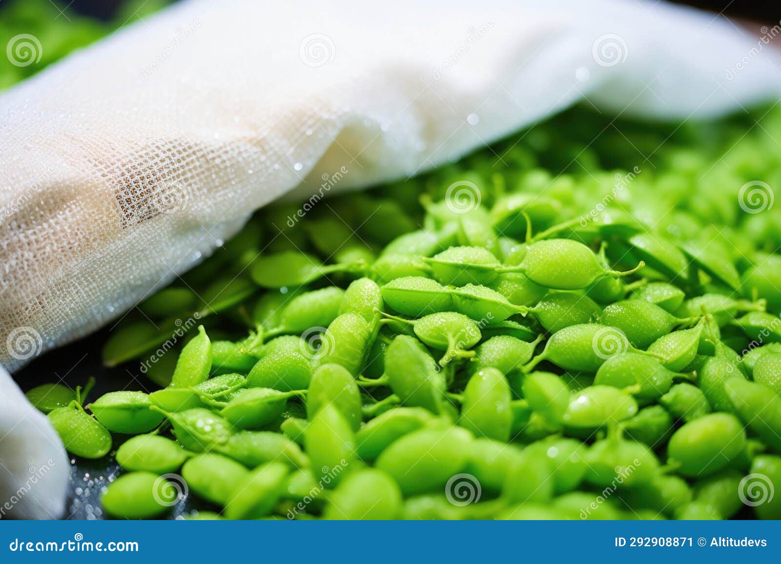 Frozen Edamame Spill Out from Paper Bag Stock Image - Image of edamame ...