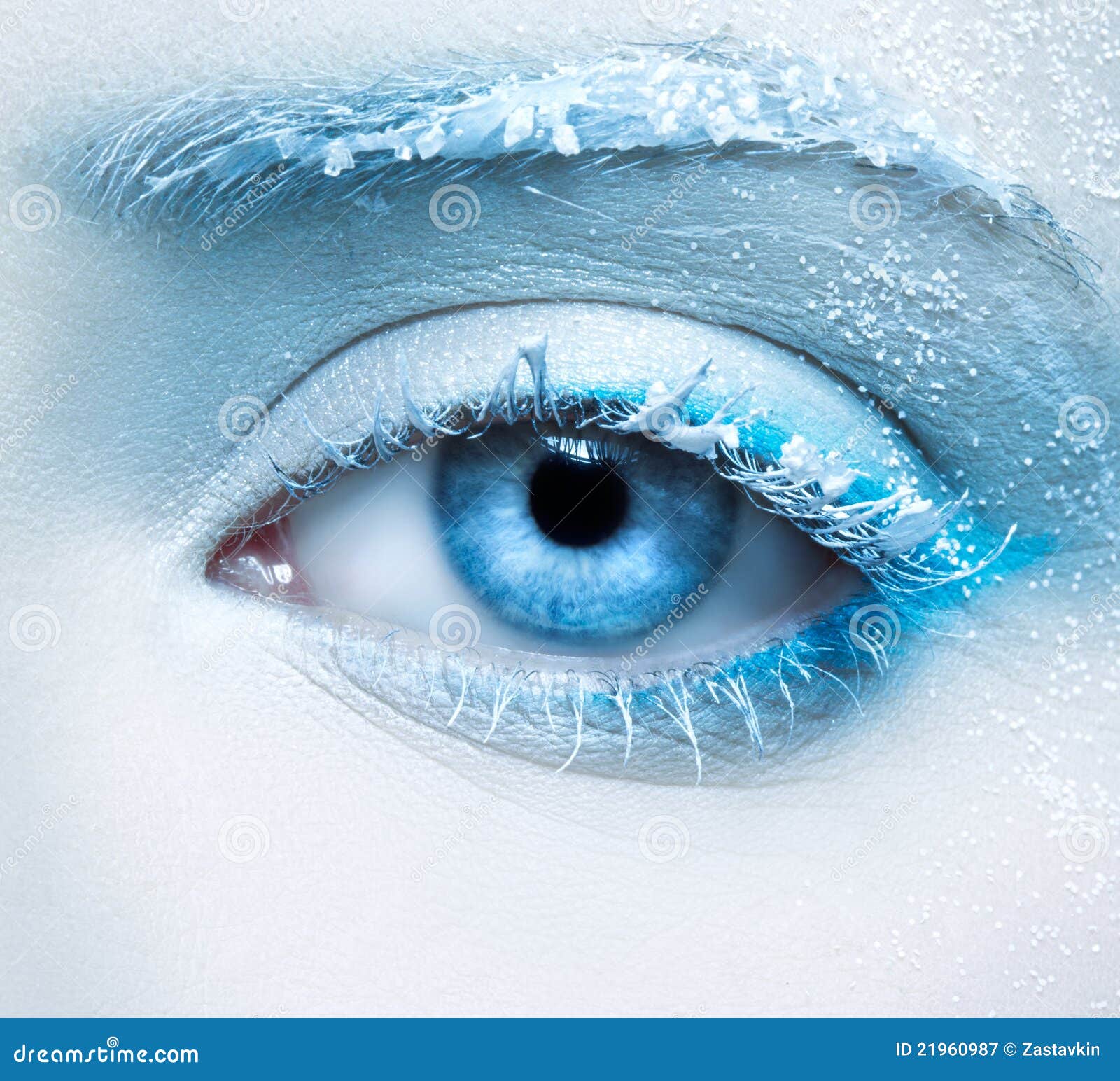 Frozen eye zone makeup stock image. Image of cold, lashes - 21960987