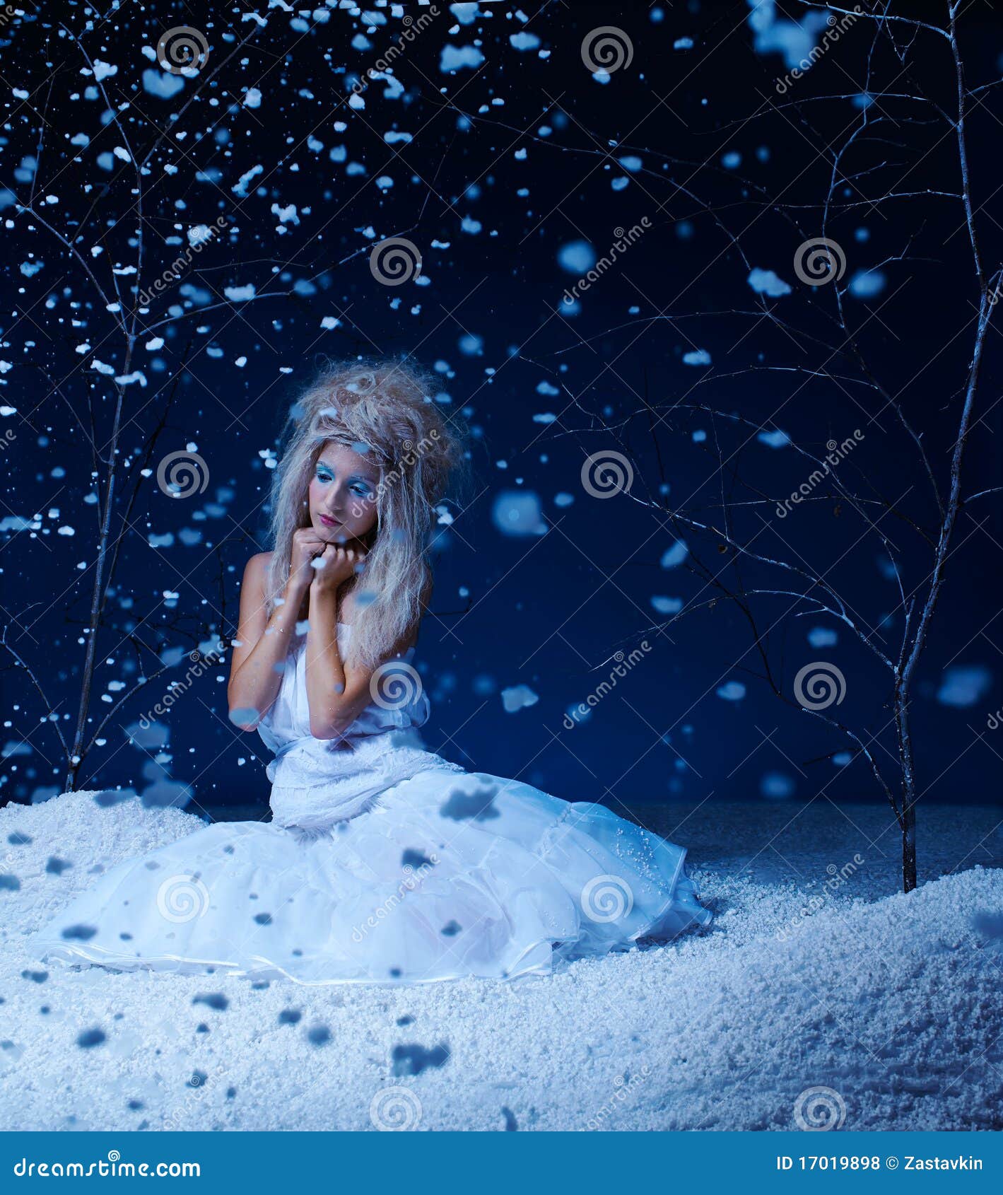 Frozen fairy stock photo. Image of cold, portrait, dreamy - 17019898