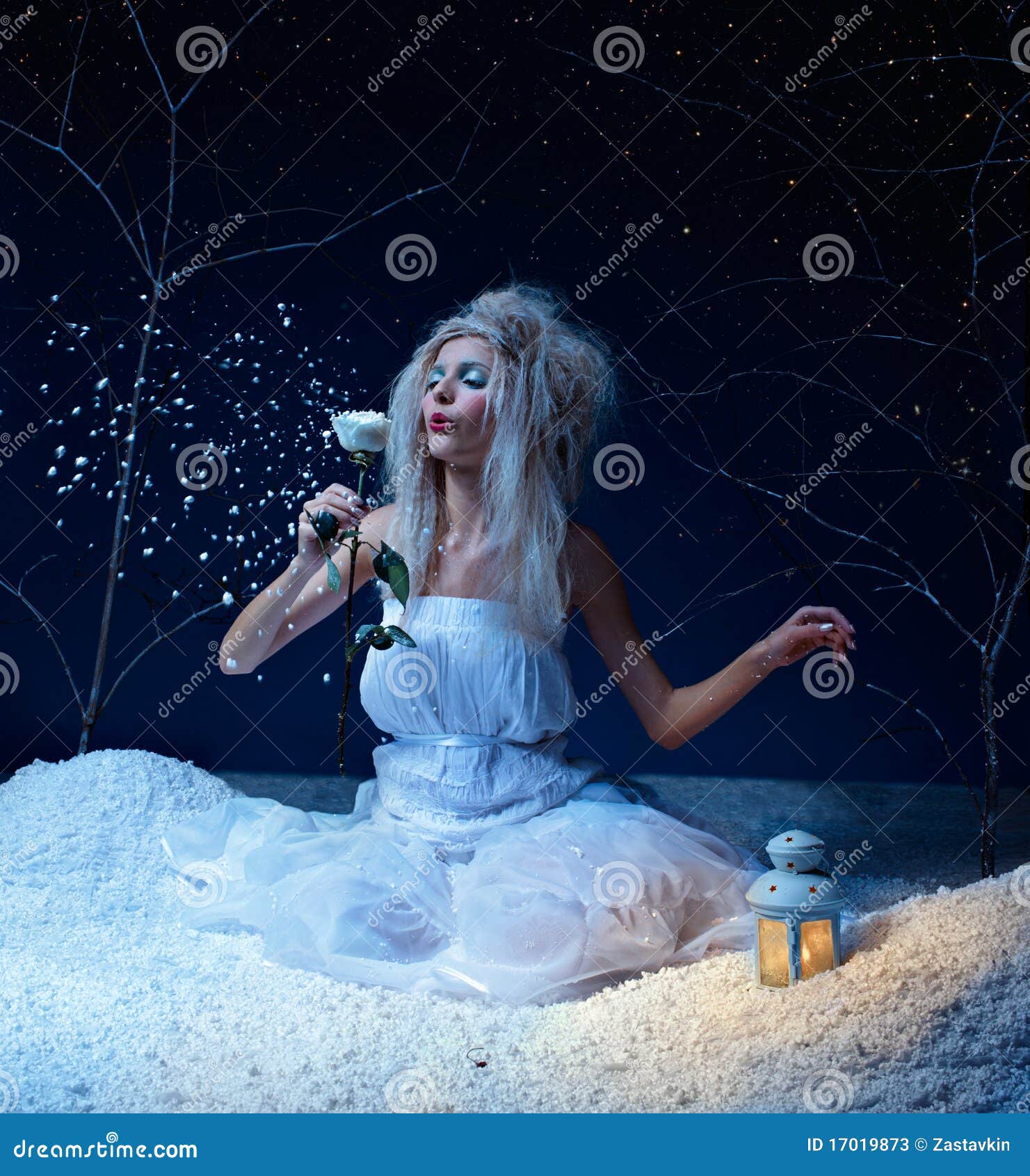 Frozen fairy with rose stock image. Image of blonde, caucasian - 17019873