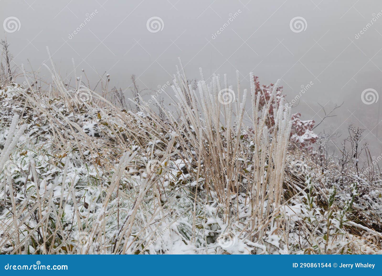 Frozen Fall Foliage at Max Patch Stock Photo - Image of mountains ...