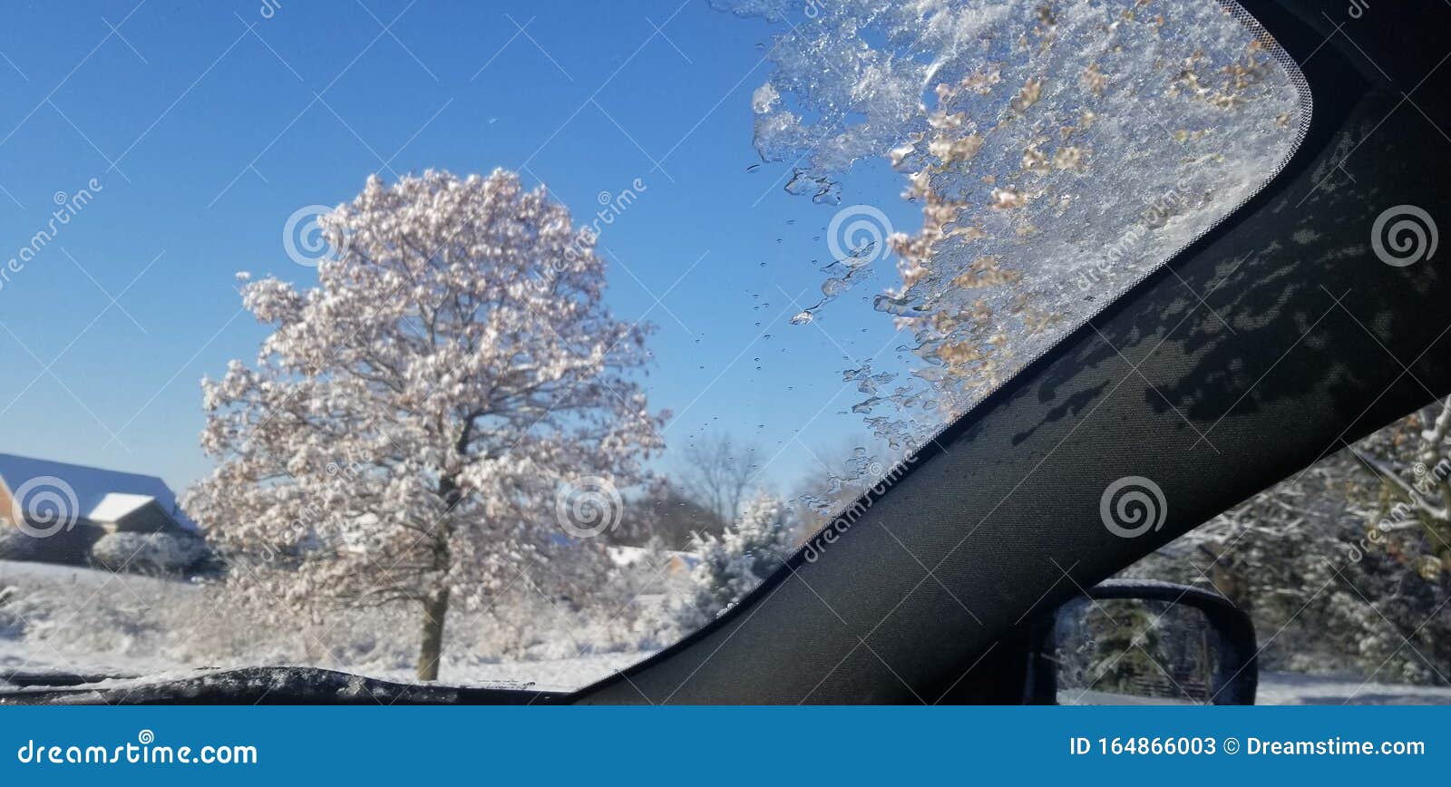 Frozen Fall Wintery Mix Autumnal Snowfall Stock Image - Image of ...