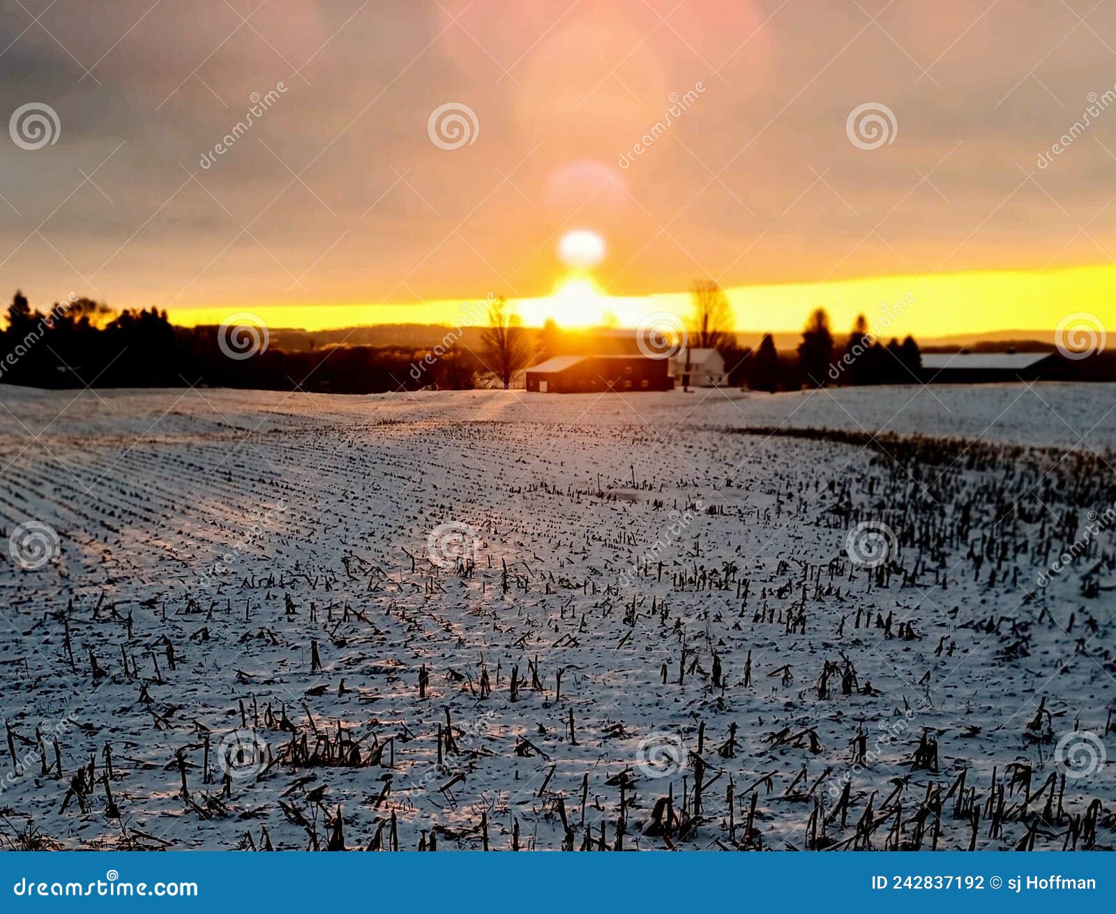 Frozen farm field stock photo. Image of farm, field - 242837192