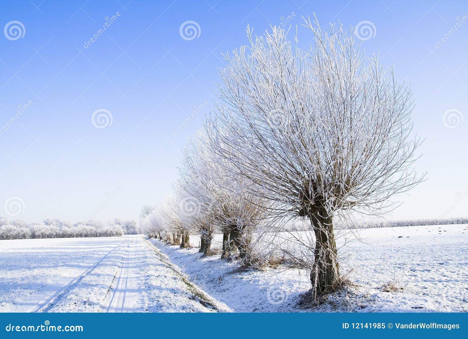 Frozen farmland stock image. Image of morning, open, agricultural ...