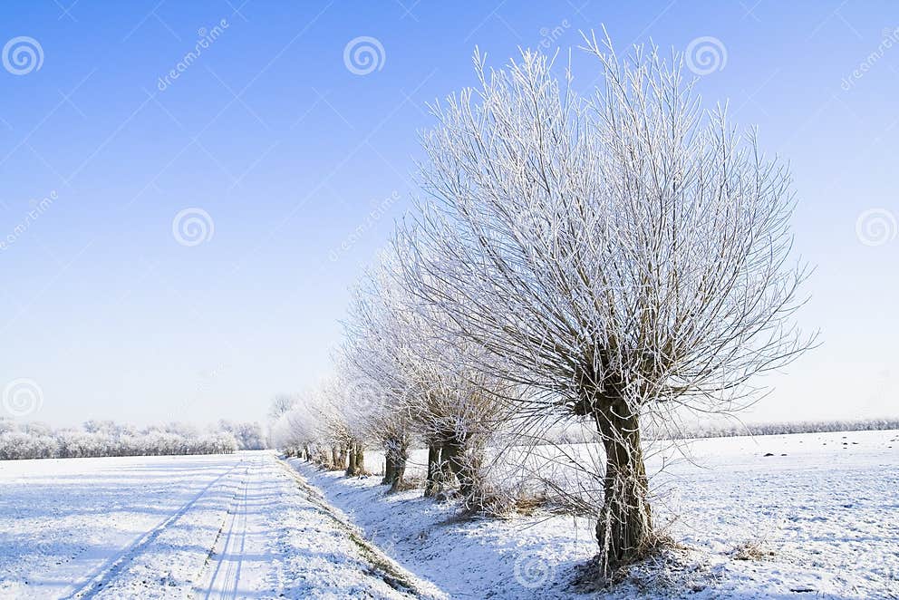 Frozen farmland stock image. Image of morning, open, agricultural ...